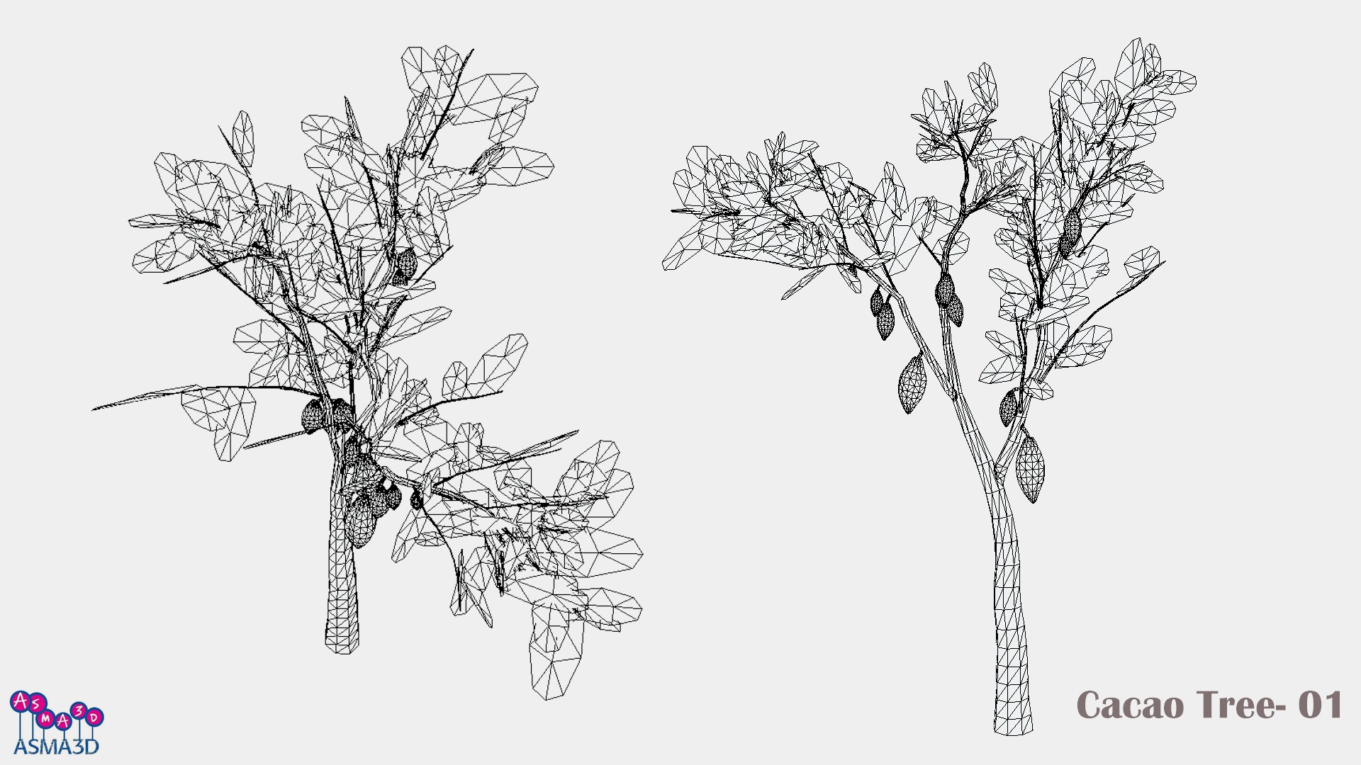 Cacao Tree- 01 3D Model - TurboSquid 2202600