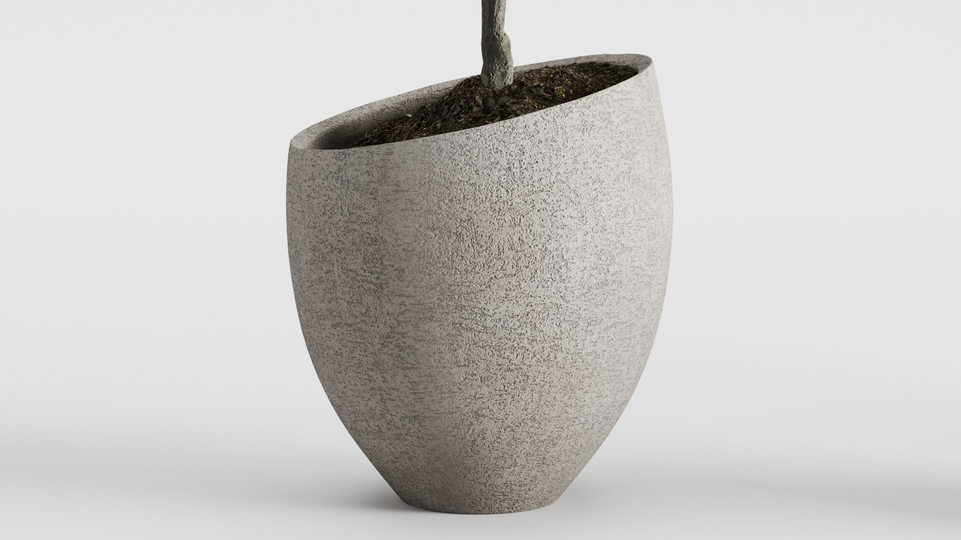 3D Model Olive European Potted Eco Stone Hitohana - TurboSquid 2032261