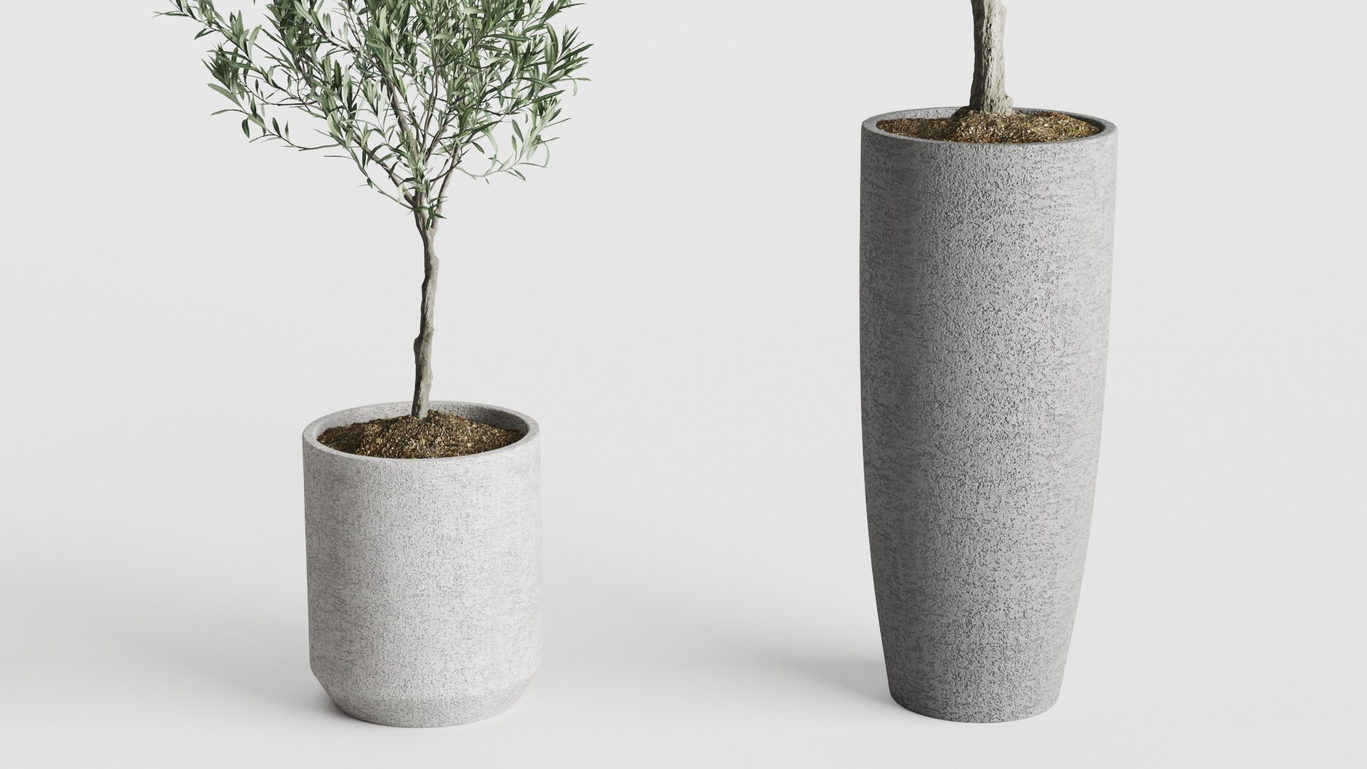 3D Model Olive European Potted Eco Stone Hitohana - TurboSquid 2032261