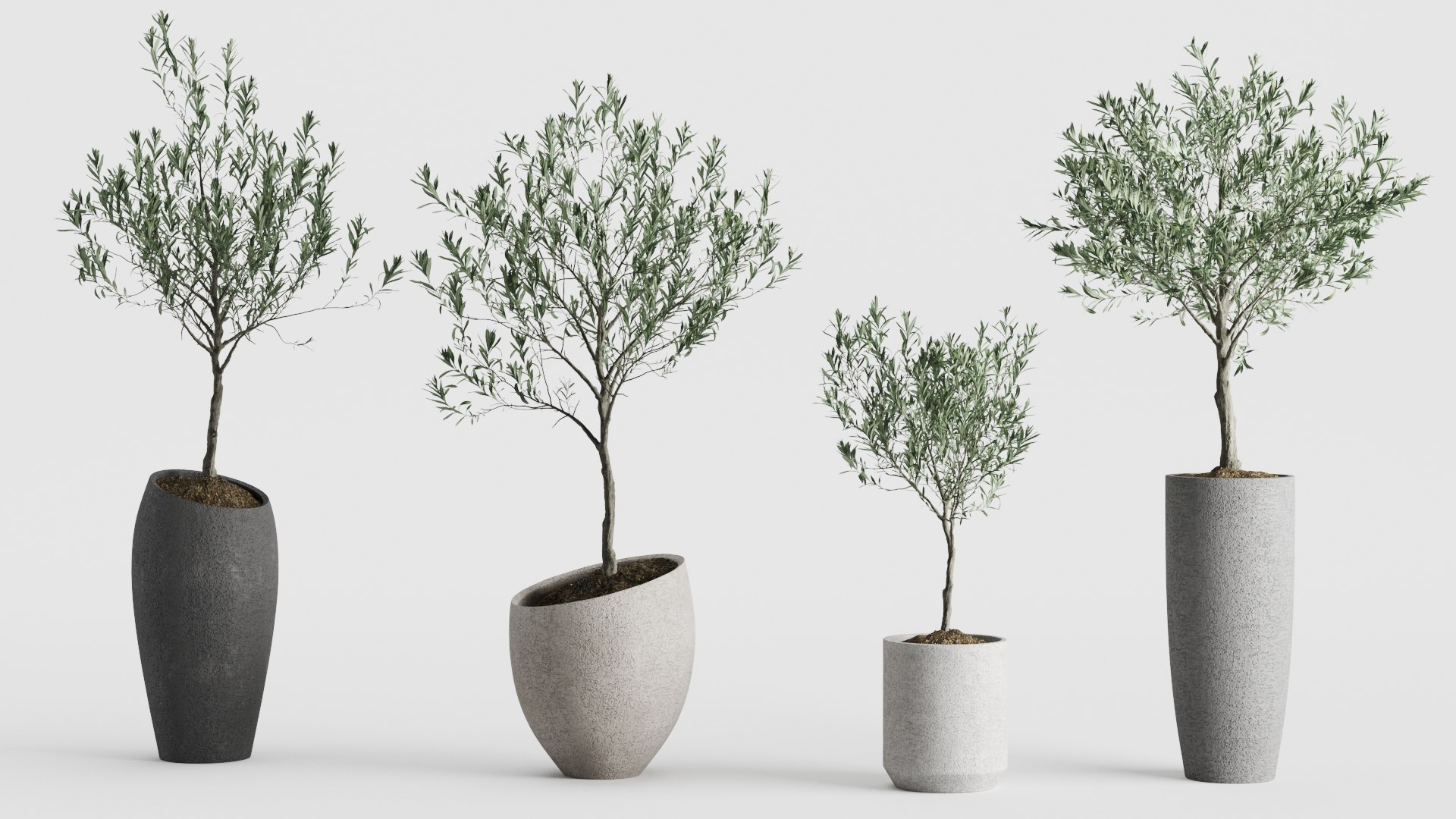 3D Model Olive European Potted Eco Stone Hitohana - TurboSquid 2032261