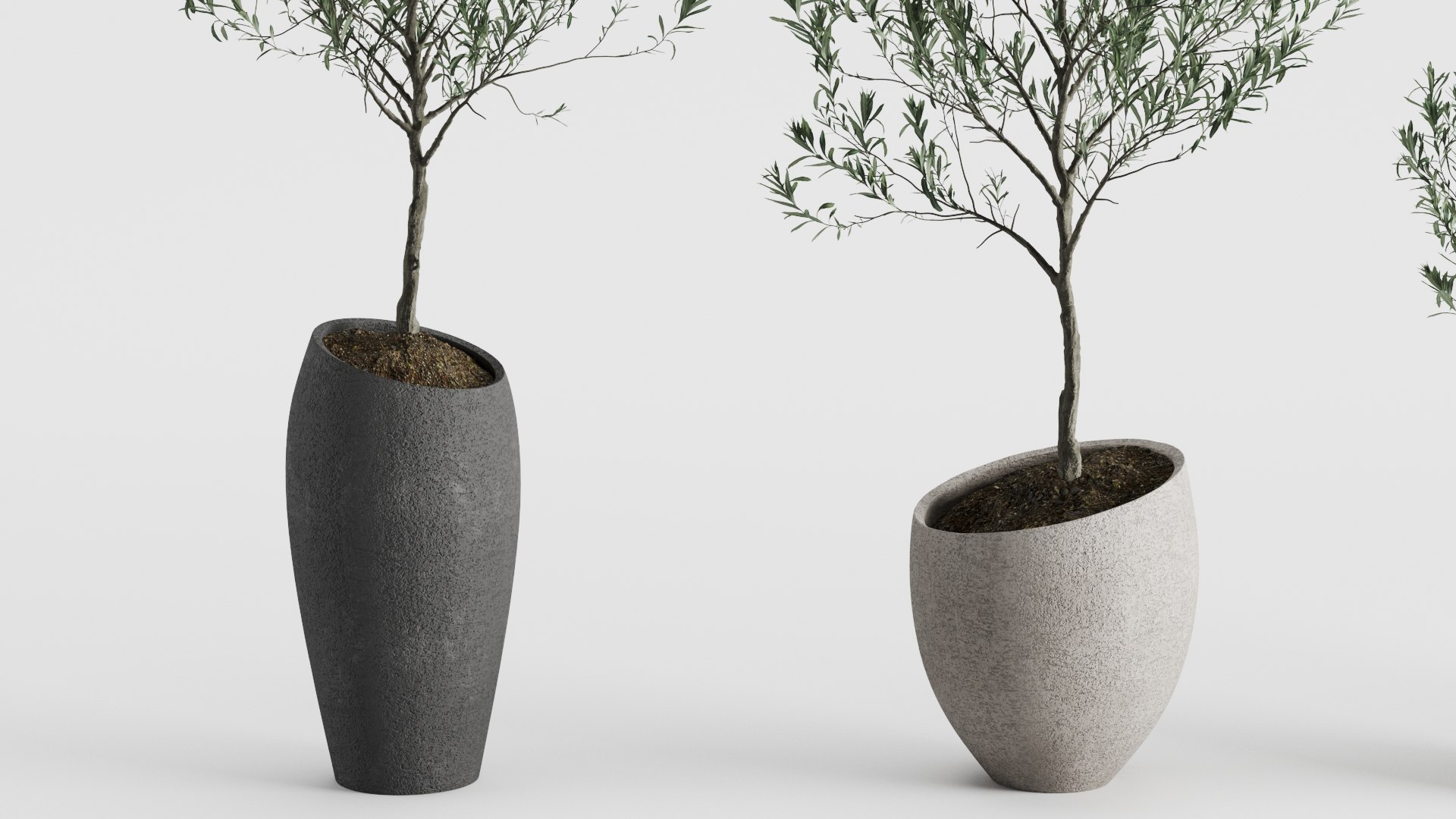 3D Model Olive European Potted Eco Stone Hitohana - TurboSquid 2032261