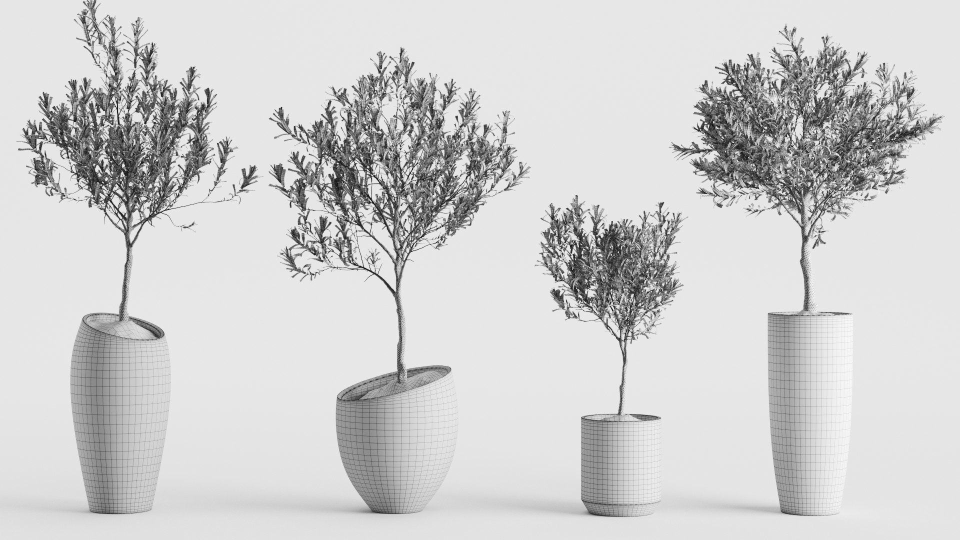 3D Model Olive European Potted Eco Stone Hitohana - TurboSquid 2032261