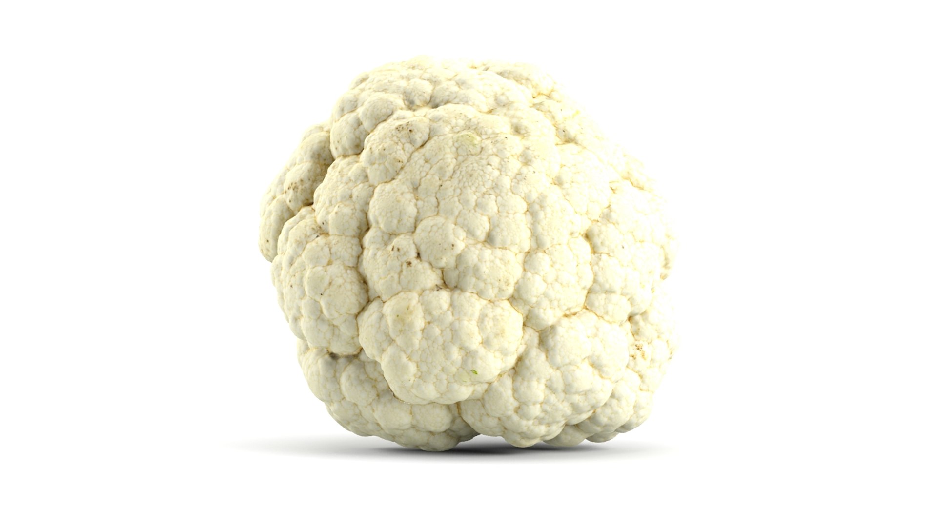 Cauliflower Flower 3d Model