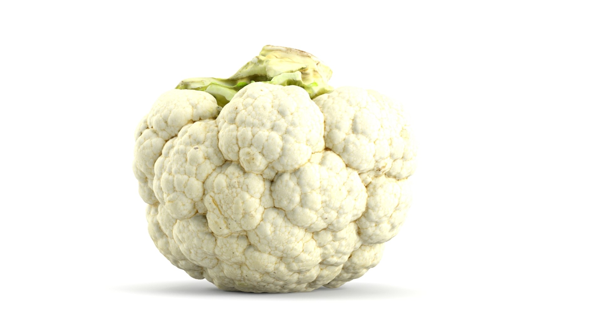 Cauliflower Flower 3d Model