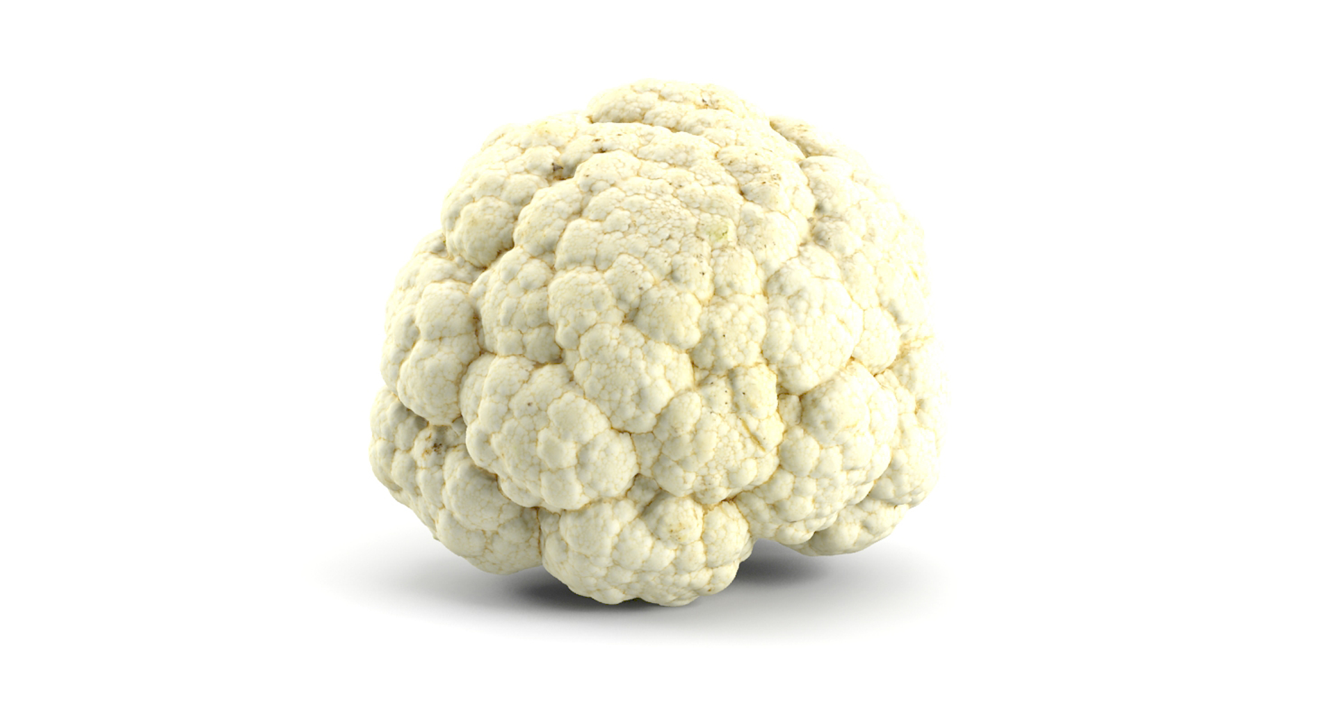 Cauliflower Flower 3d Model