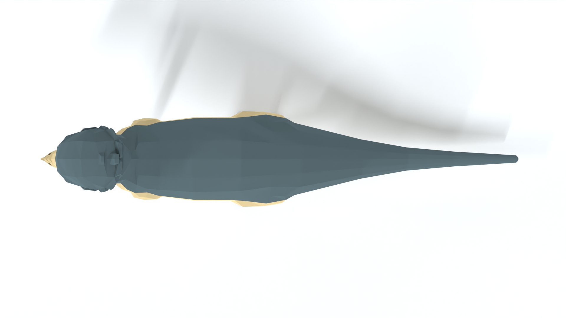 Low Poly Cartoon Pachycephalosaurus Dinosaur 3D Model - TurboSquid 1782692