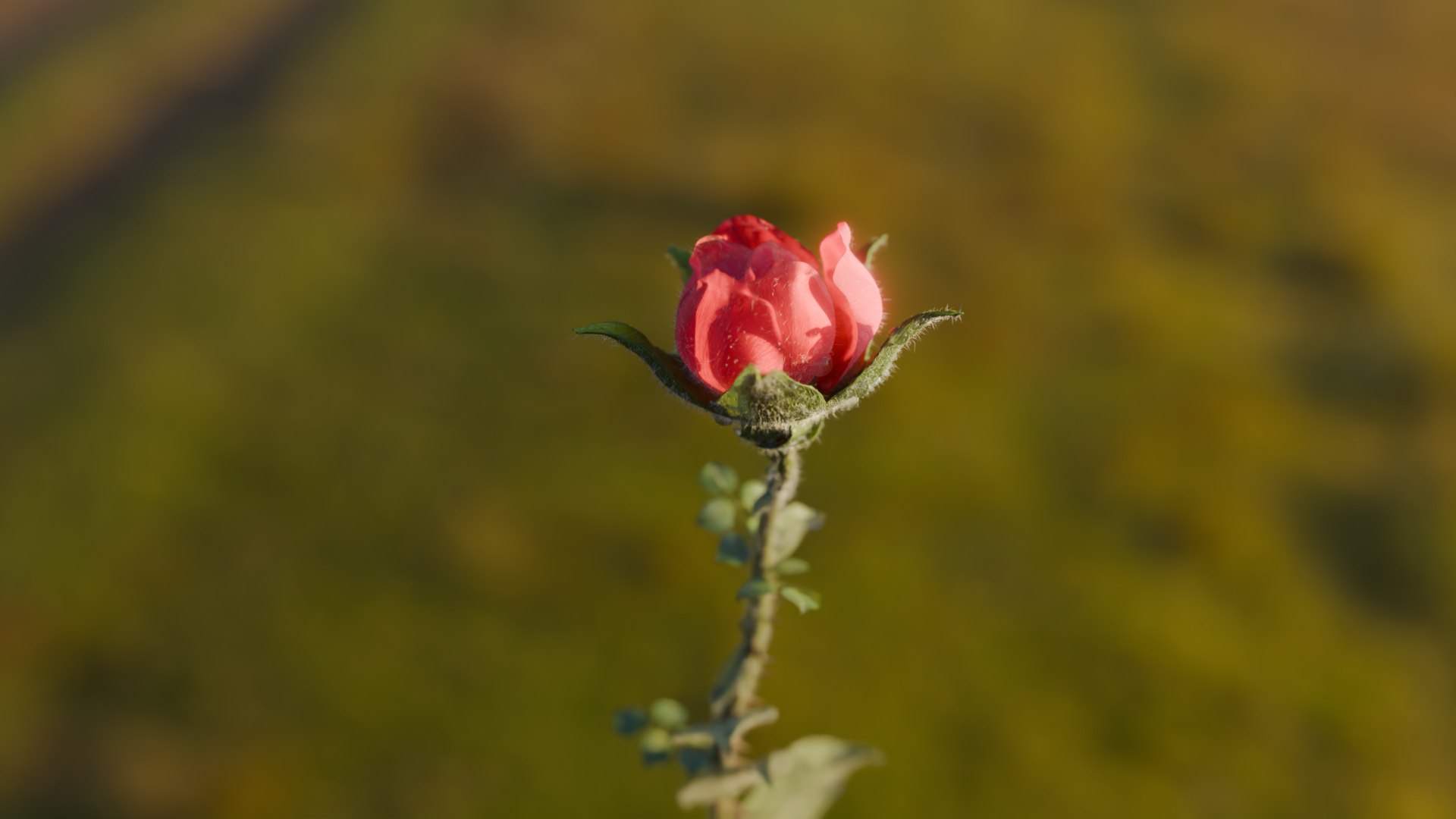 Realistic Rose Animated 3D - TurboSquid 2368012