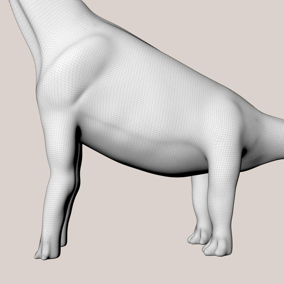 Supersaurus Dinosaur Rigged 3D Model - TurboSquid 1303511