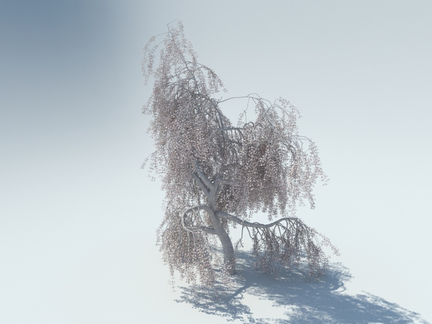 Realistic Sakura Tree 3d Max