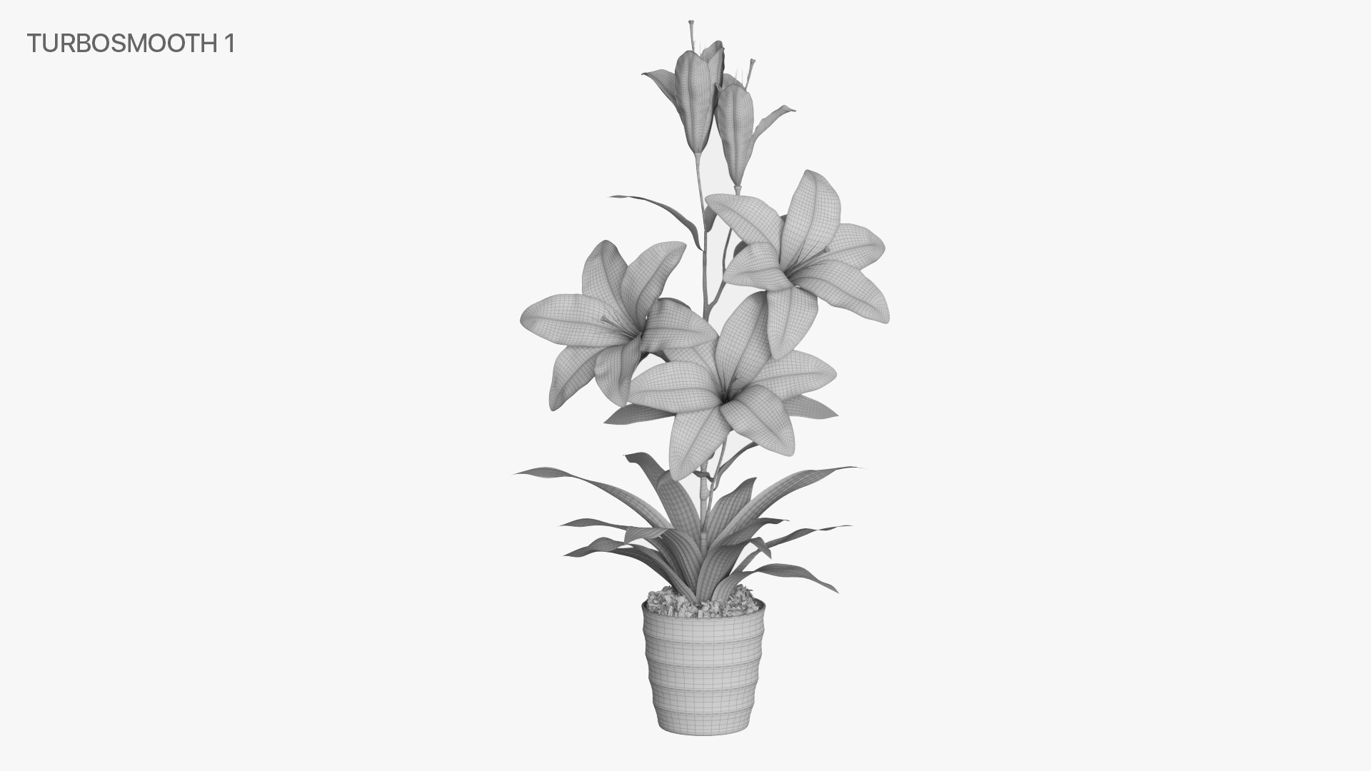 3D Lily Plant - TurboSquid 1715229