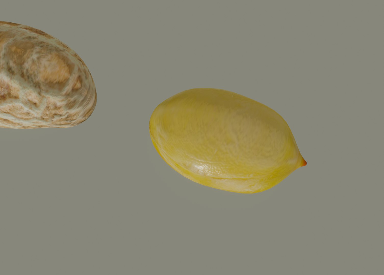 Peanut 3D Model - TurboSquid 1868658