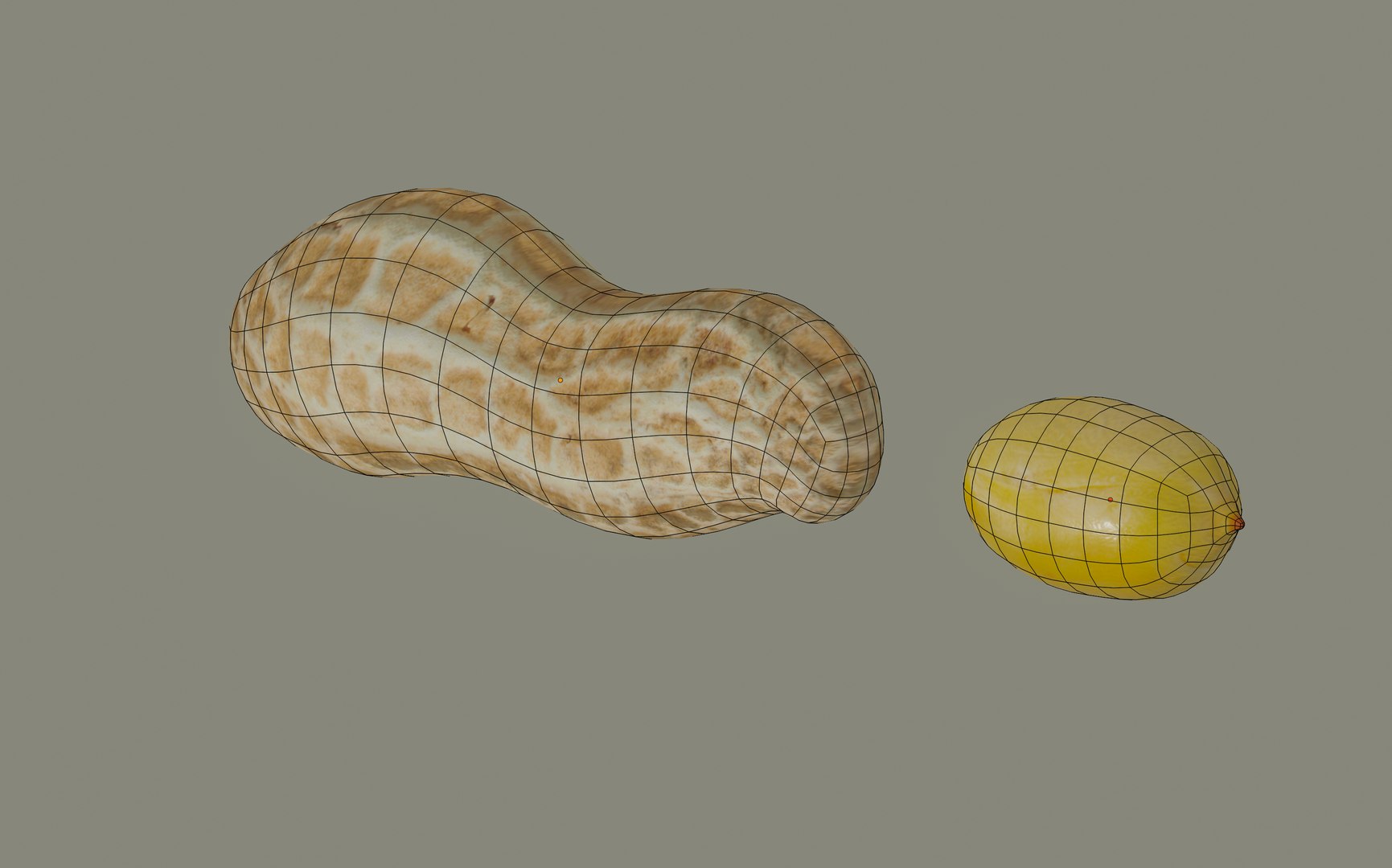 Peanut 3D Model - TurboSquid 1868658