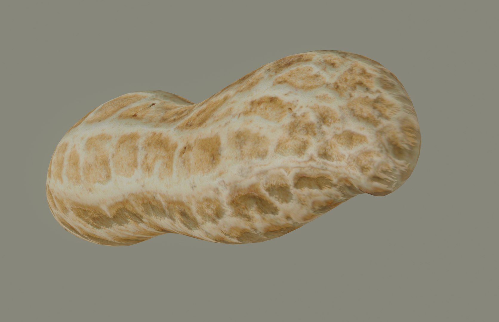 Peanut 3D Model - TurboSquid 1868658
