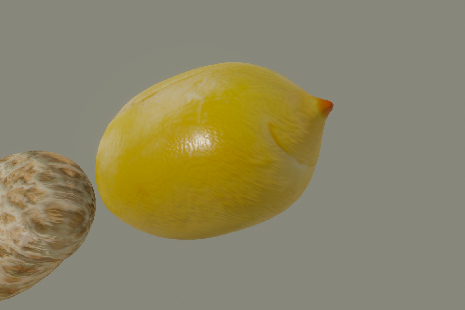 Peanut 3D Model - TurboSquid 1868658