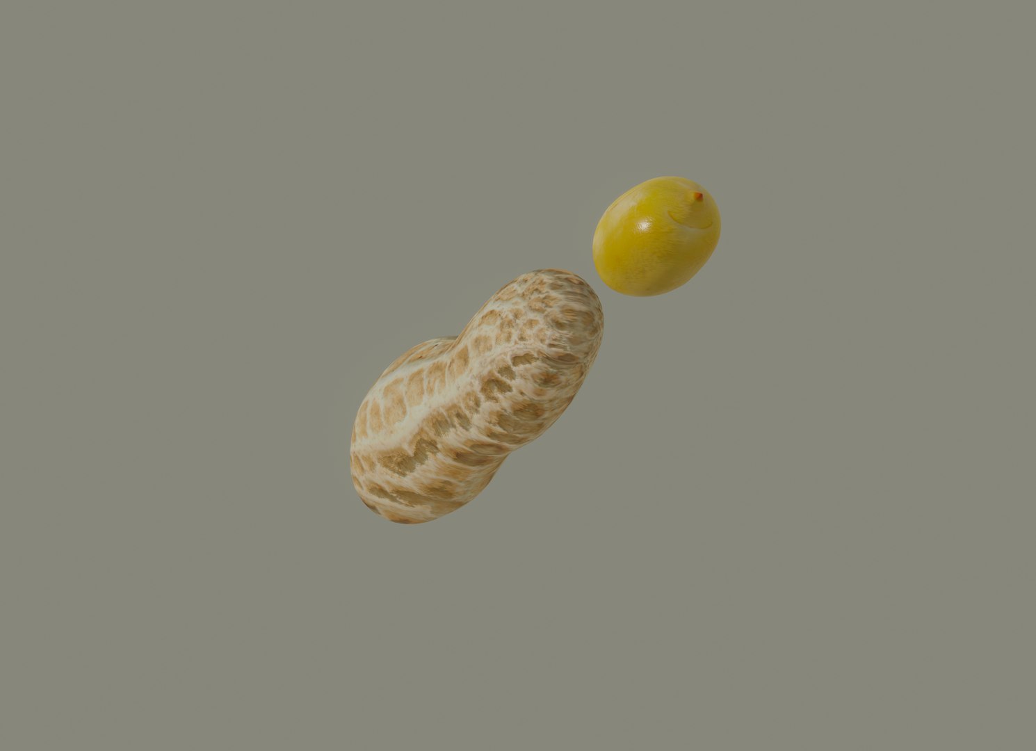 Peanut 3D Model - TurboSquid 1868658