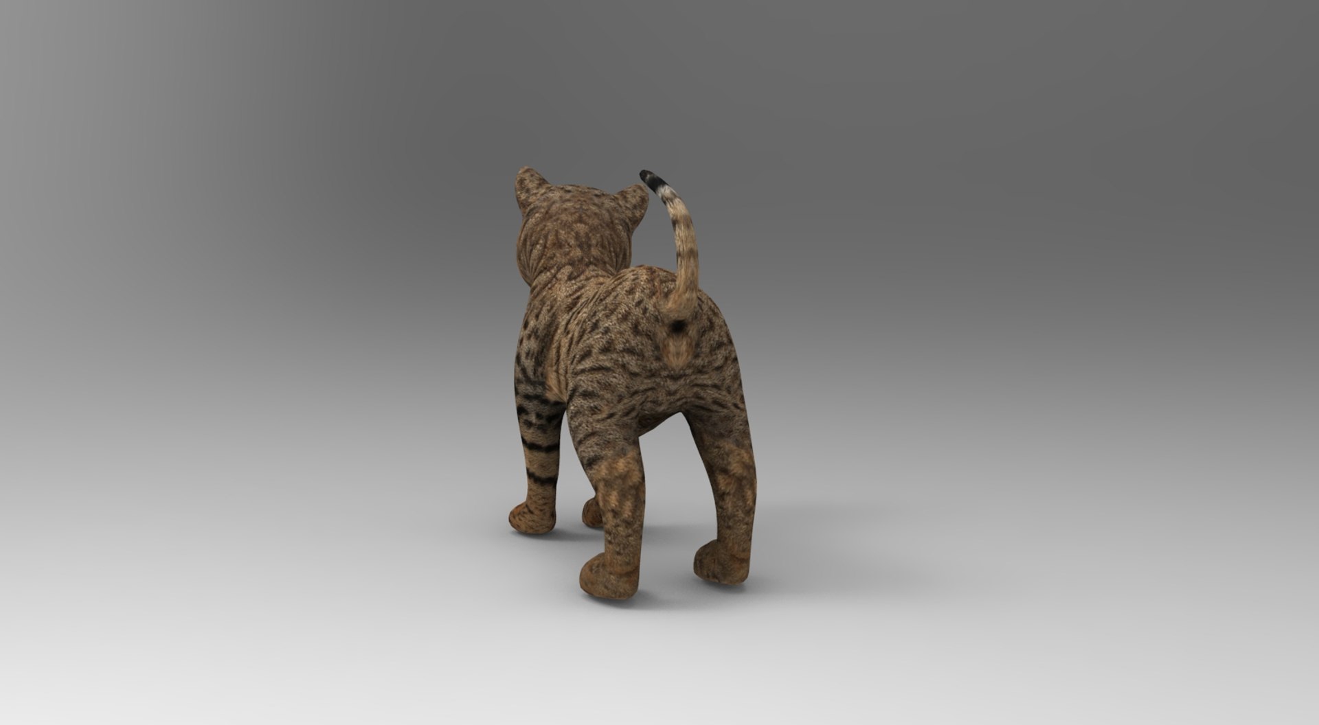 3D Model Cat Rigged Animation - TurboSquid 1204569