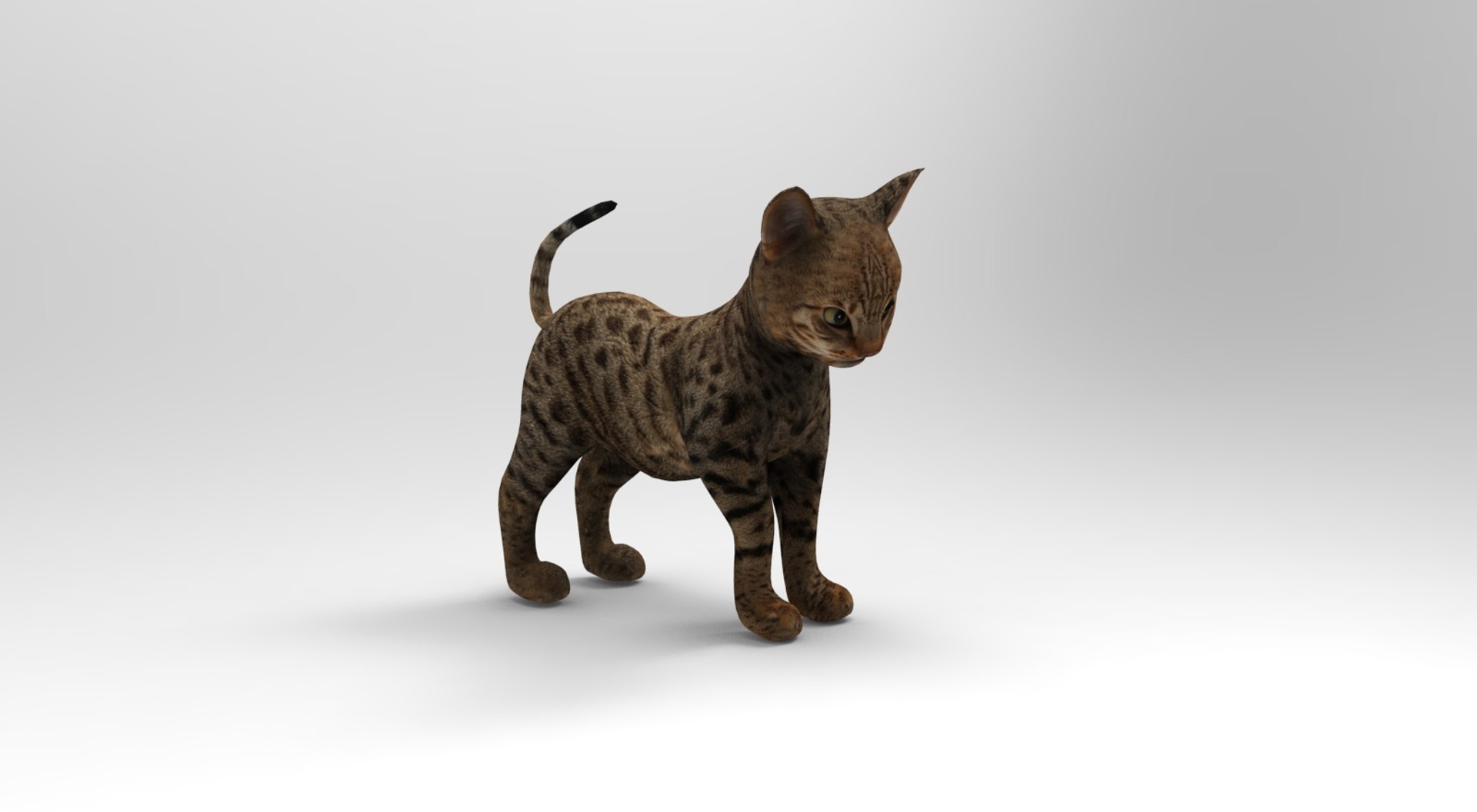 3D Model Cat Rigged Animation - TurboSquid 1204569