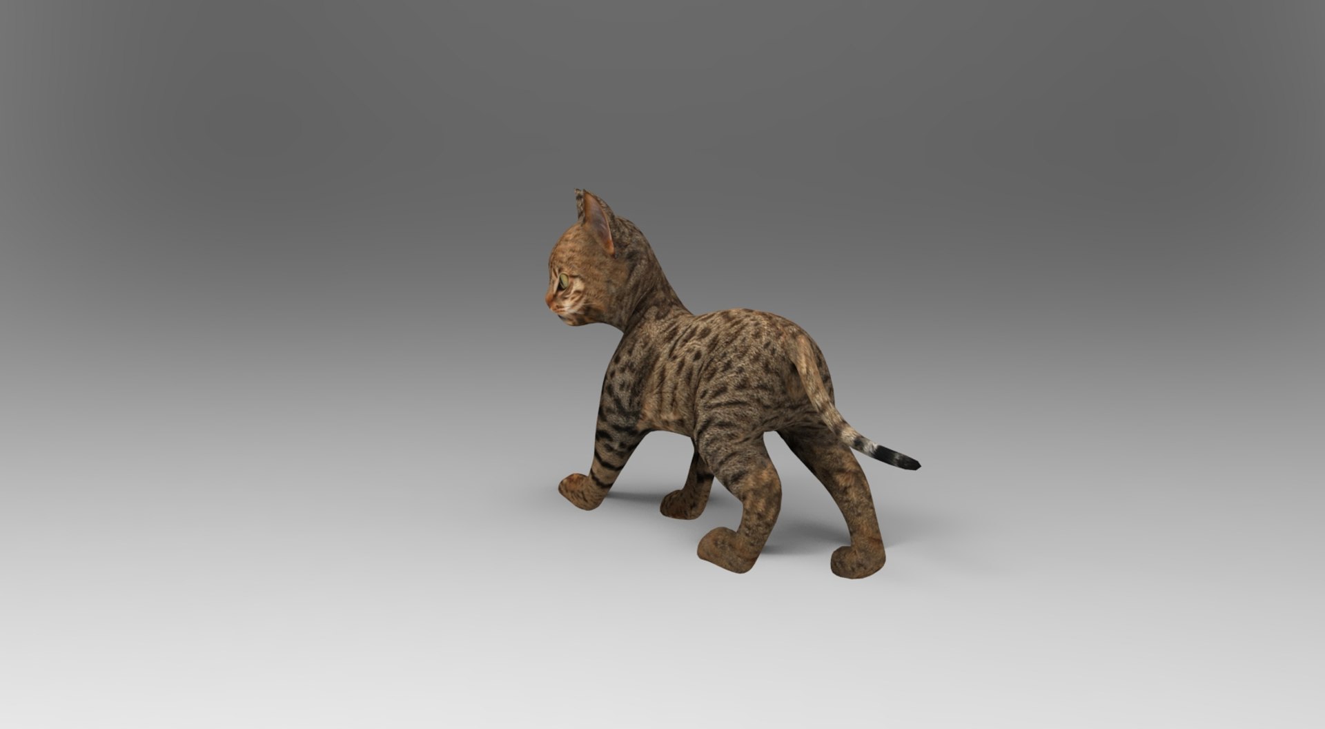 3D Model Cat Rigged Animation - TurboSquid 1204569
