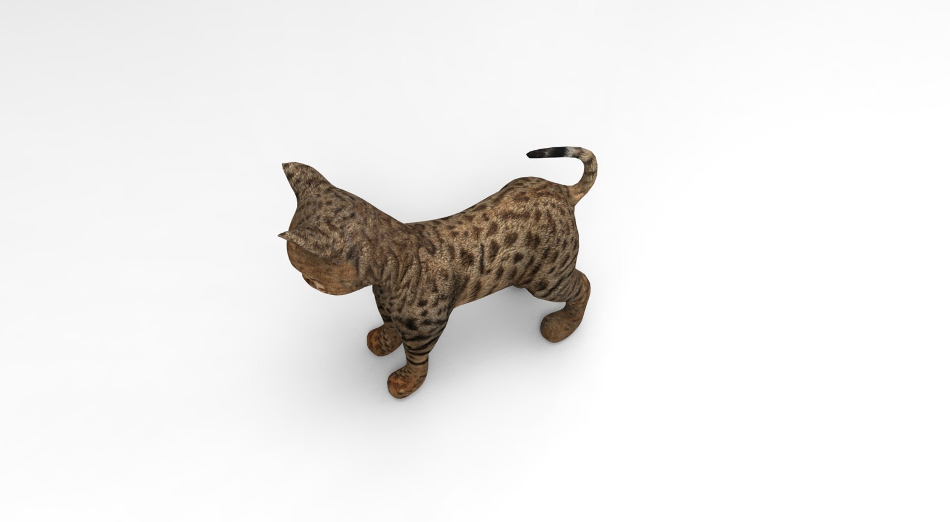 3D Model Cat Rigged Animation - TurboSquid 1204569