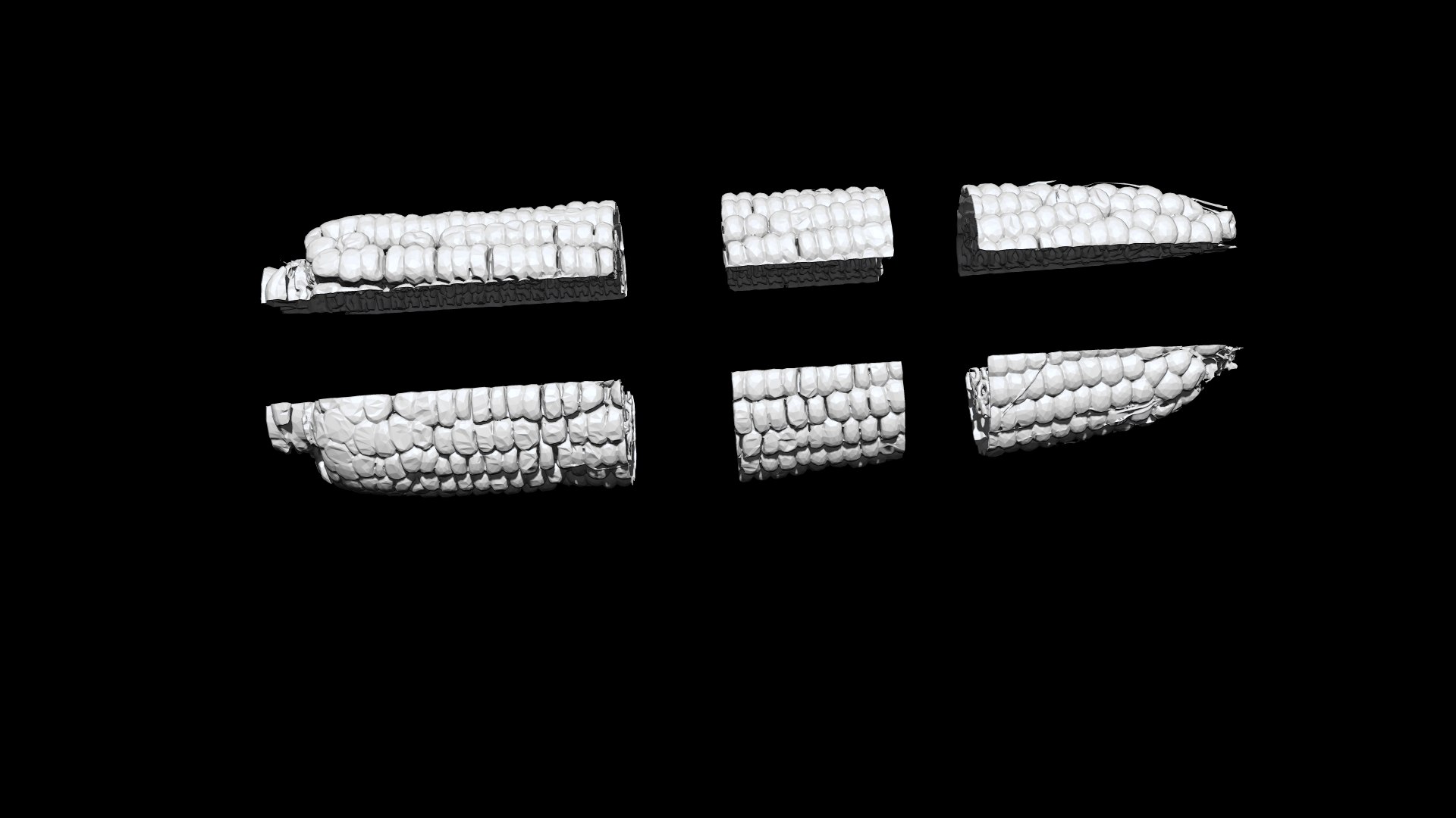 3D Model Corn 3D CT Scan Model Cut3 Decimate 8 Percent - TurboSquid 1945272