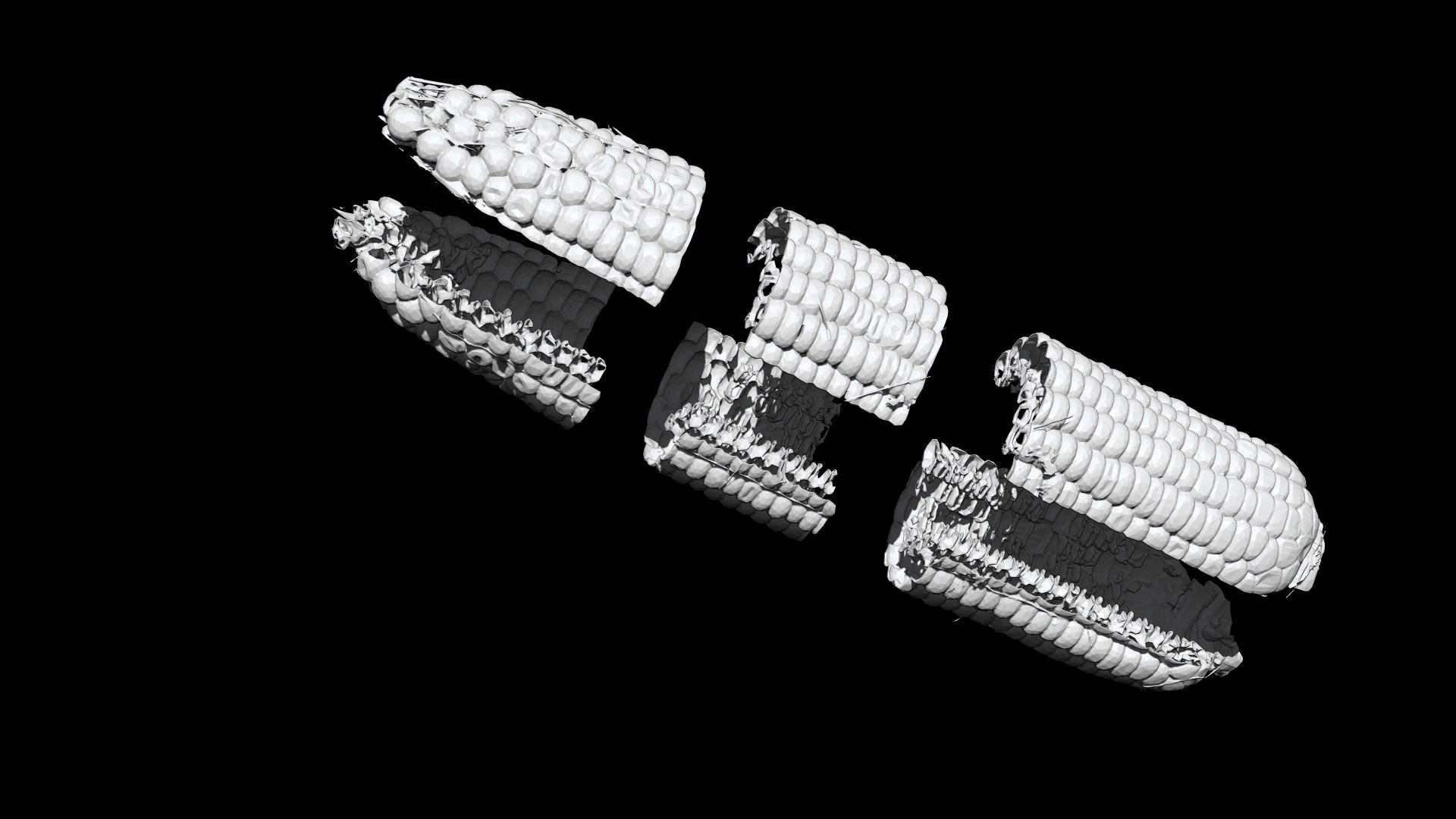 3D Model Corn 3D CT Scan Model Cut3 Decimate 8 Percent - TurboSquid 1945272