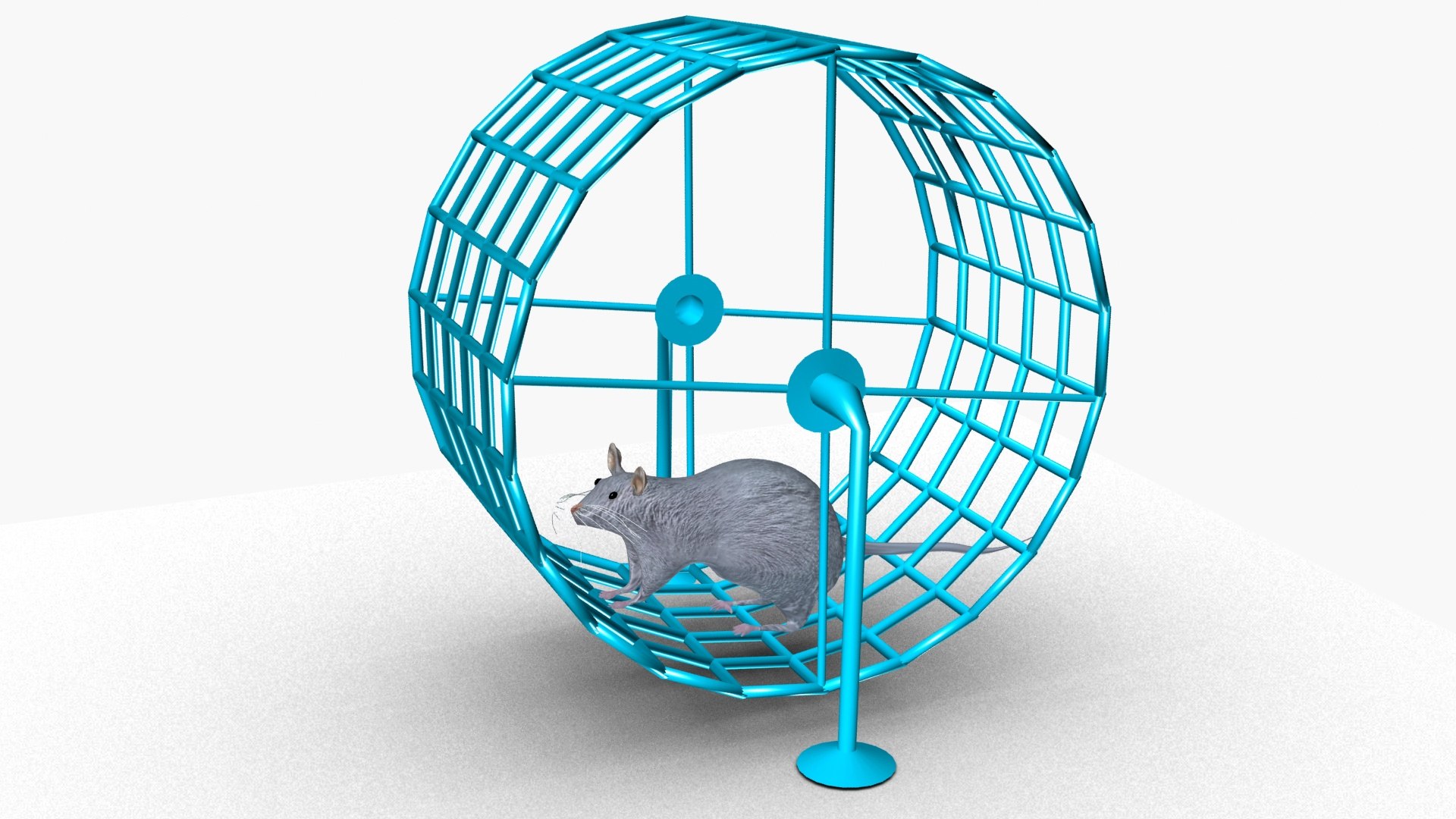 3D Mouse In Wheel Model - TurboSquid 1897984