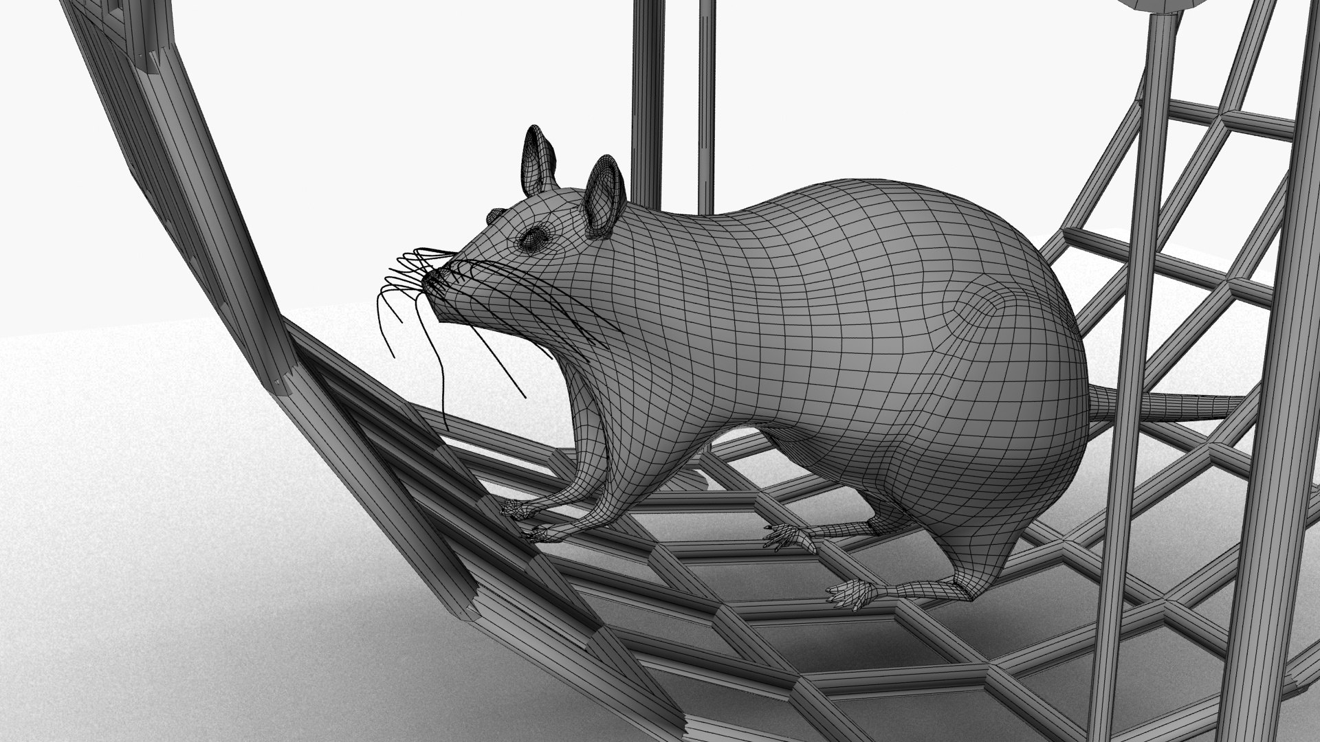 3D Mouse In Wheel Model - TurboSquid 1897984