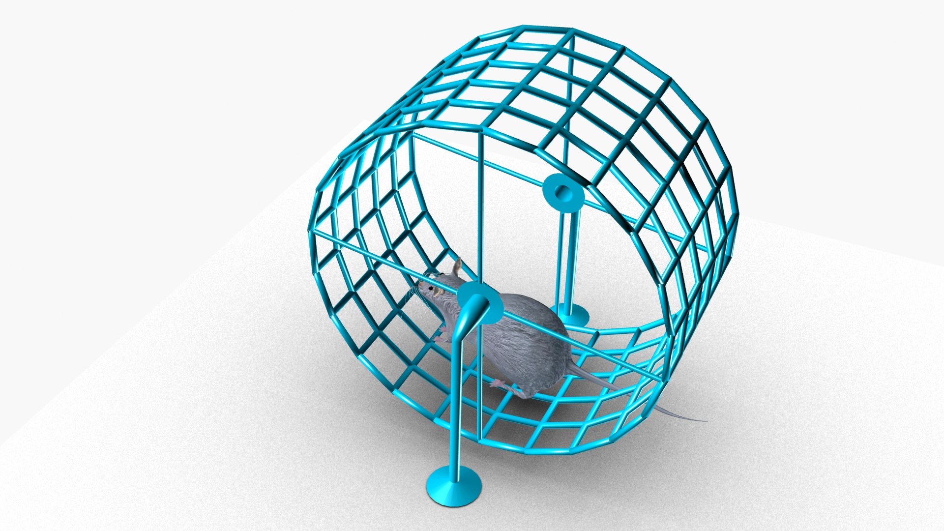3D Mouse In Wheel Model - TurboSquid 1897984