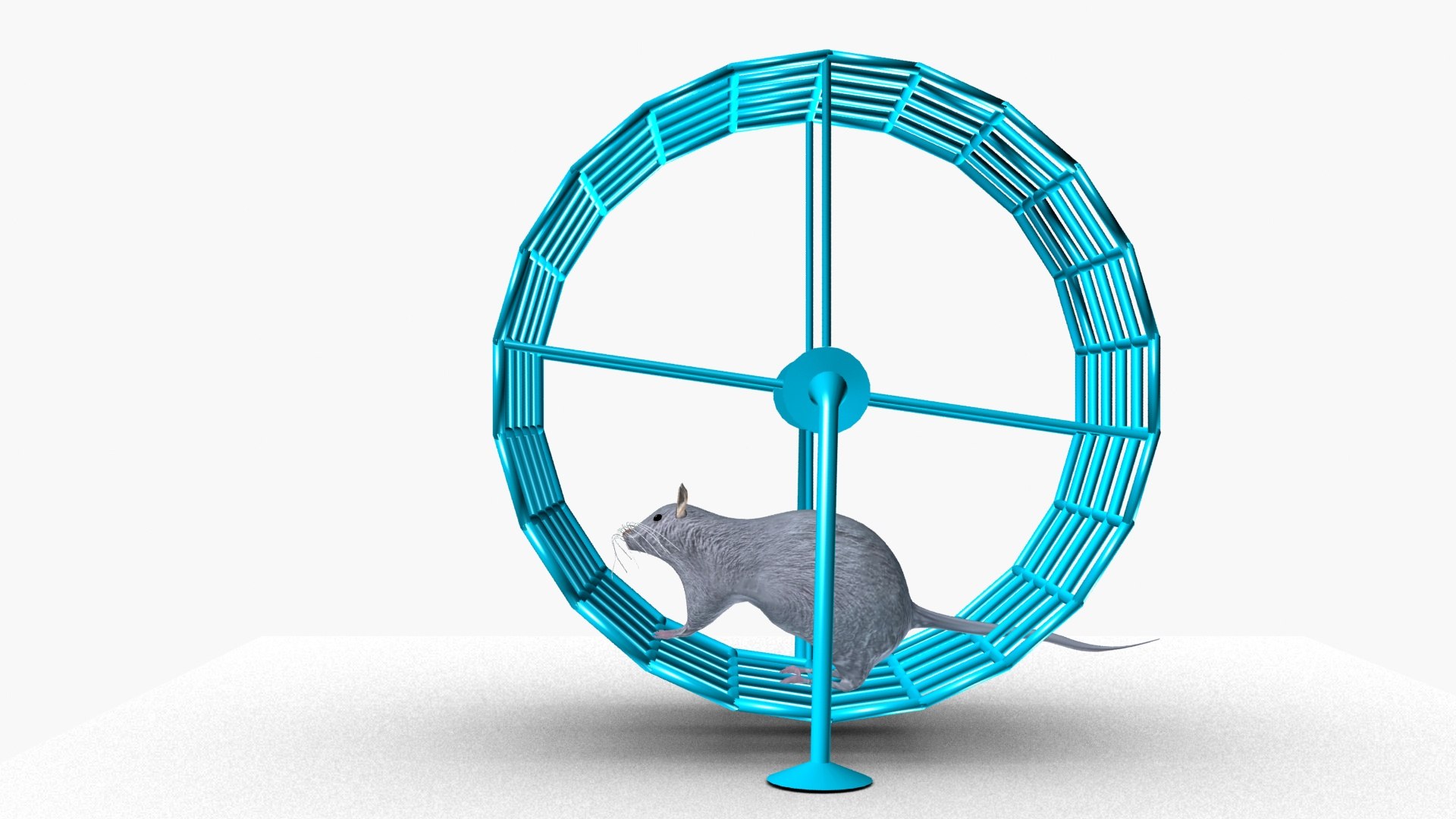 3D Mouse In Wheel Model - TurboSquid 1897984