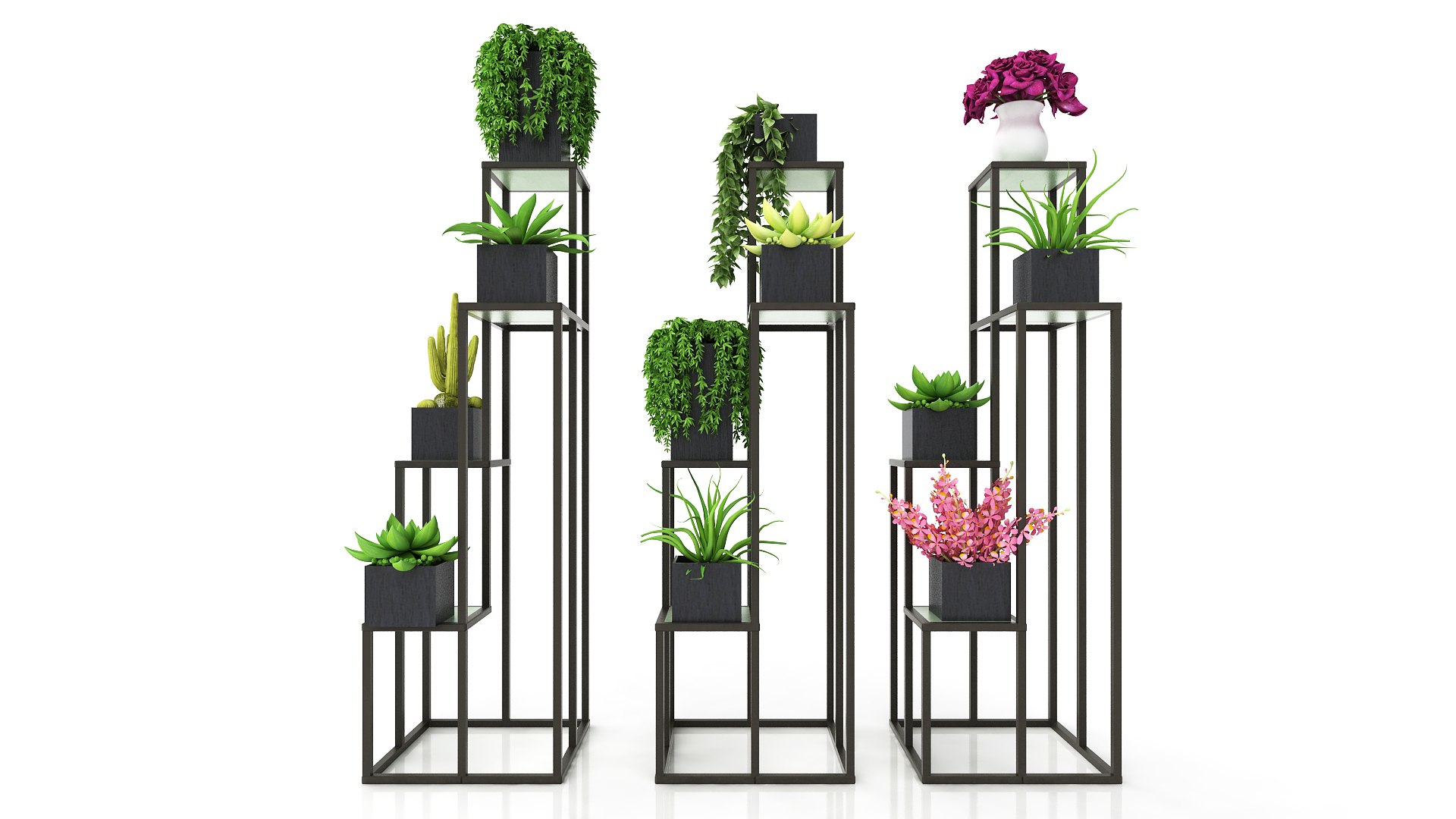 3D Ficus Lyrata Trees model - TurboSquid 2029880