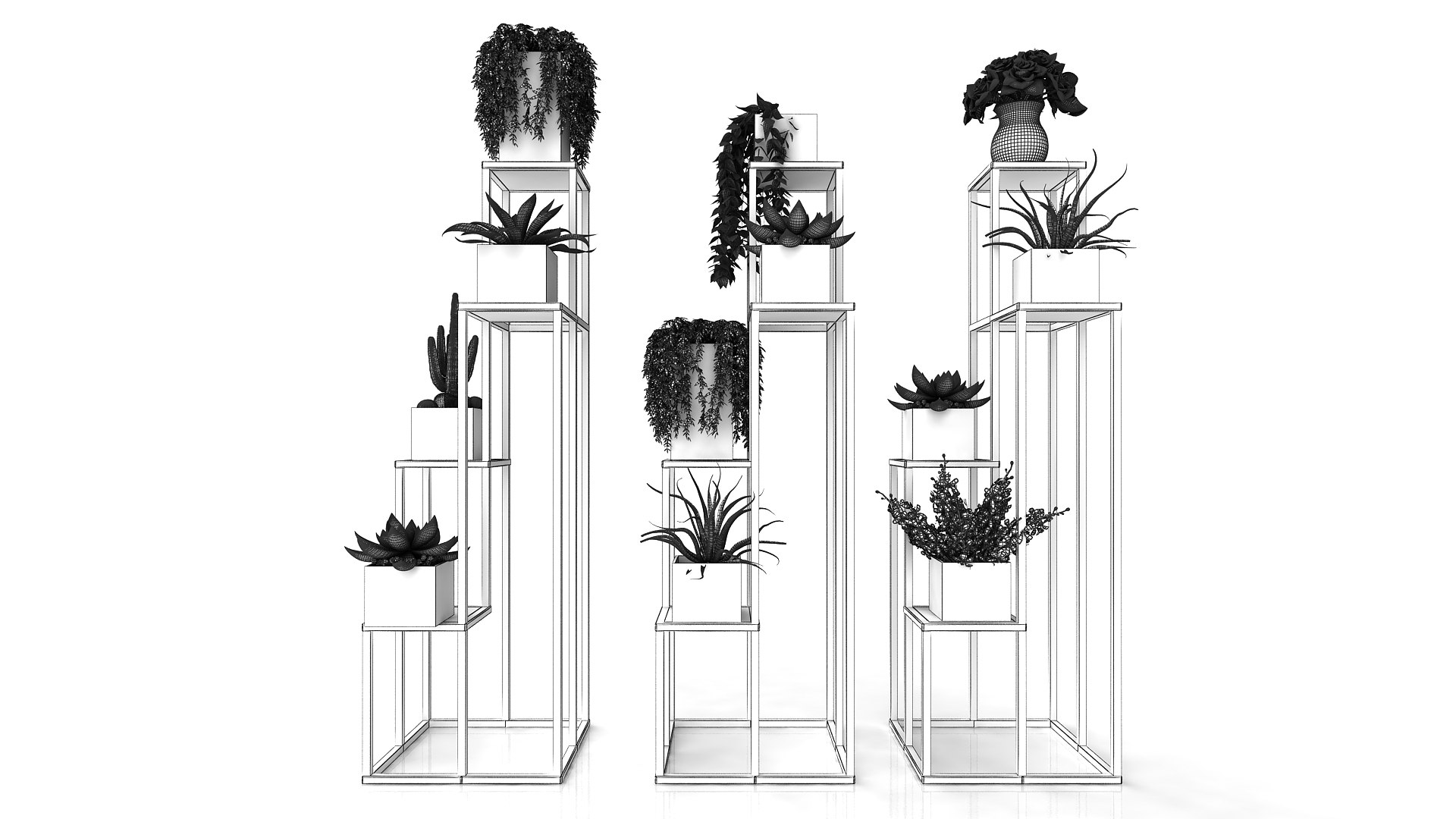 3D Ficus Lyrata Trees model - TurboSquid 2029880