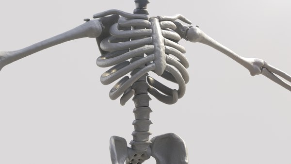 3D model Cartoon Skeleton - TurboSquid 1713433