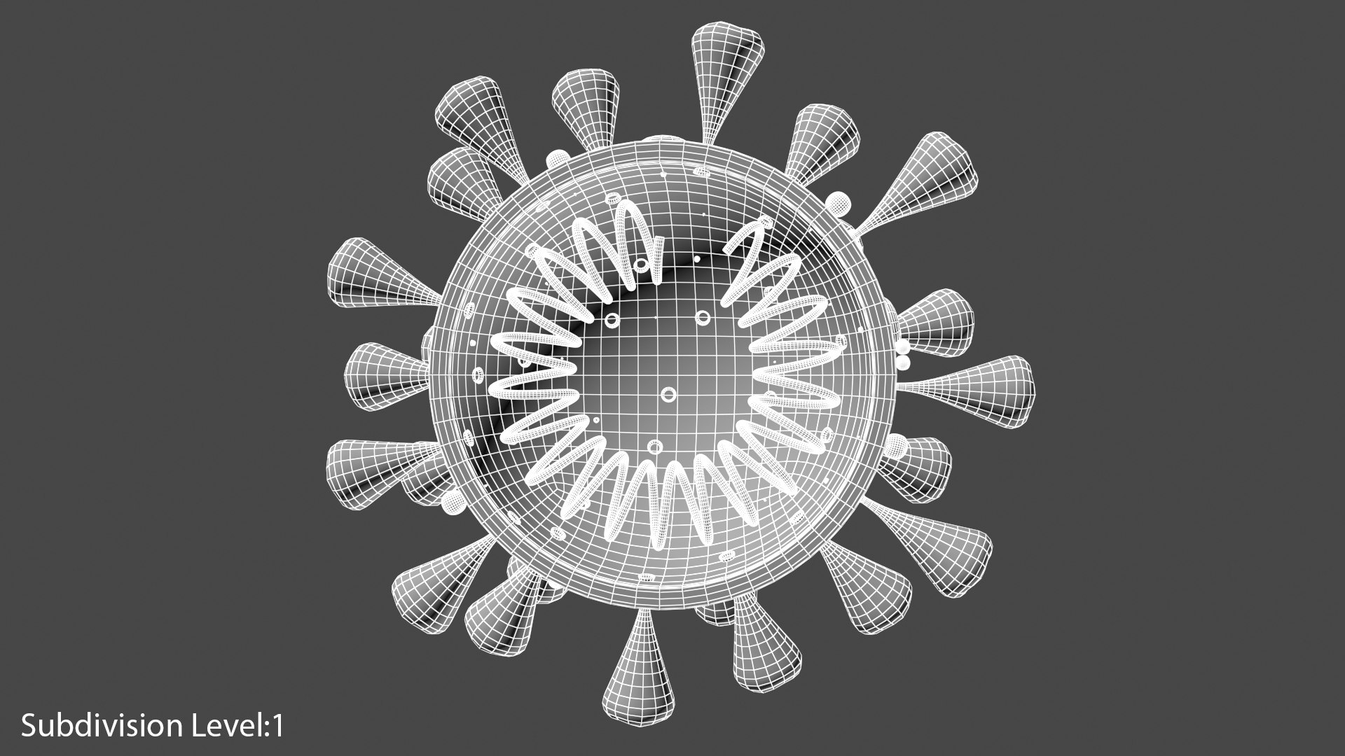 3D Corona Virus Cross Section - TurboSquid 1618773