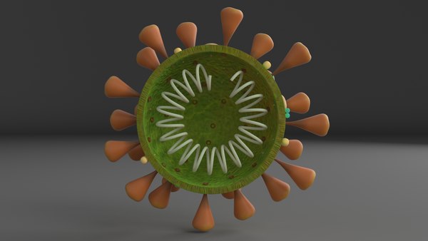 3D corona virus cross section - TurboSquid 1618773