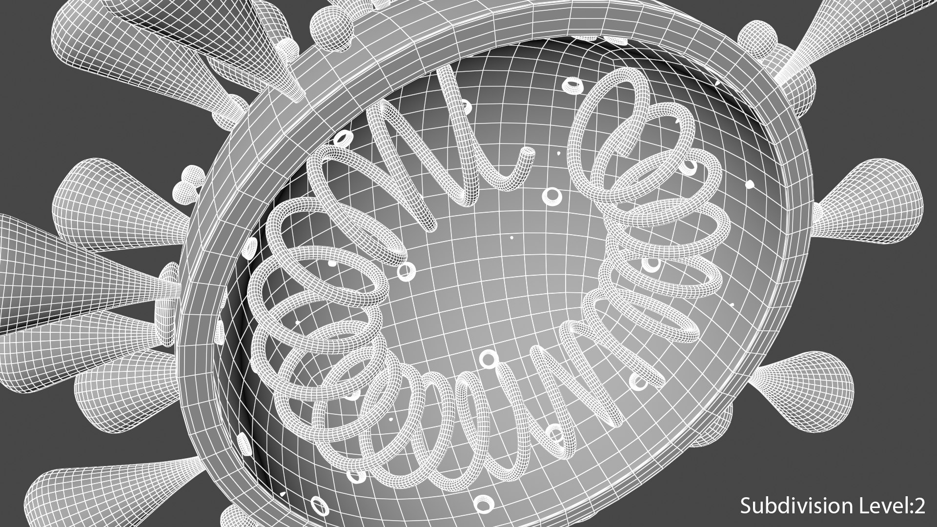 3D Corona Virus Cross Section - TurboSquid 1618773