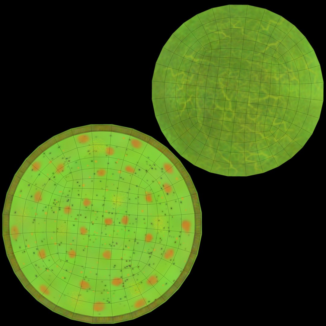 3D Corona Virus Cross Section - TurboSquid 1618773