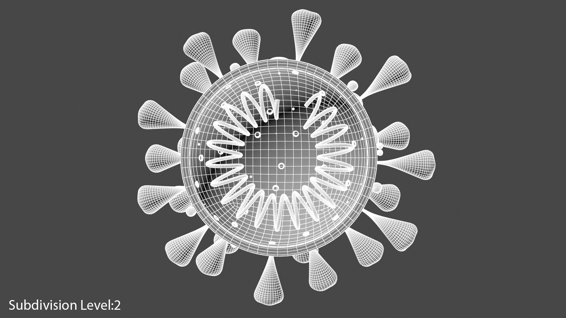 3D Corona Virus Cross Section - TurboSquid 1618773