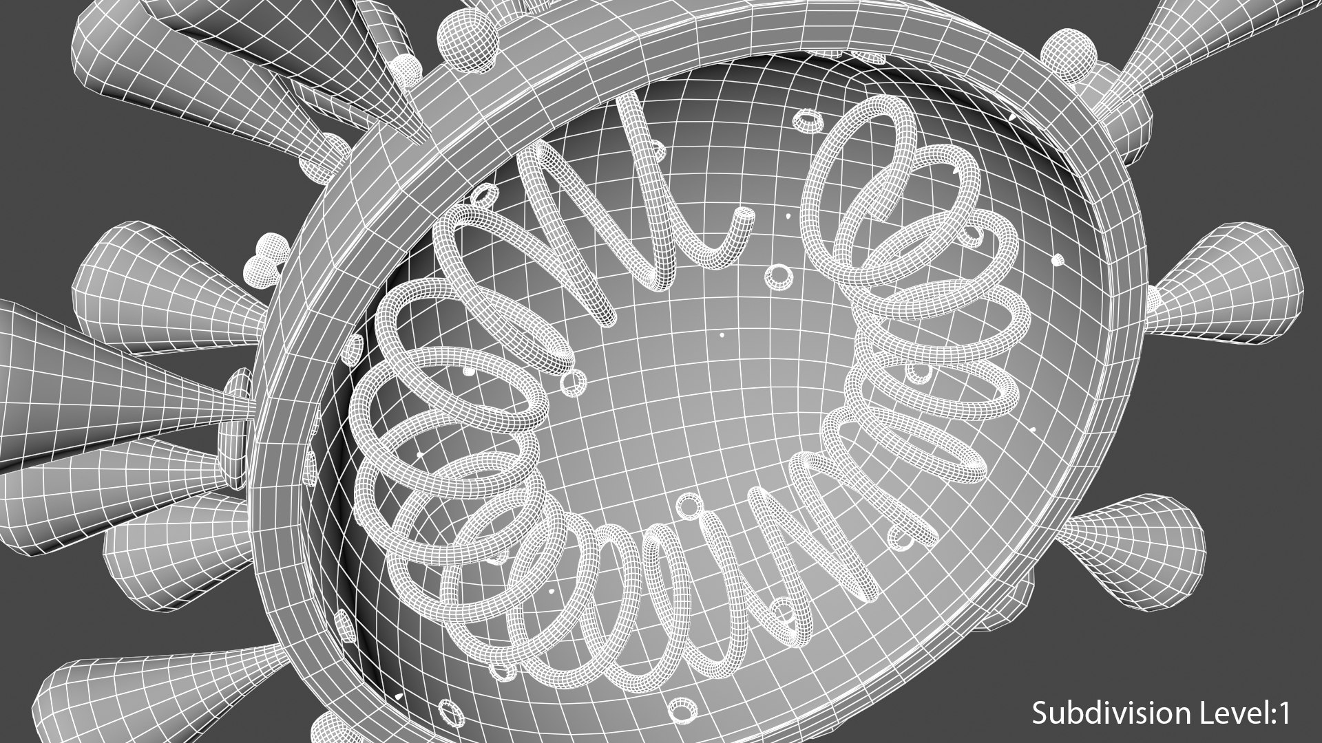 3D Corona Virus Cross Section - TurboSquid 1618773