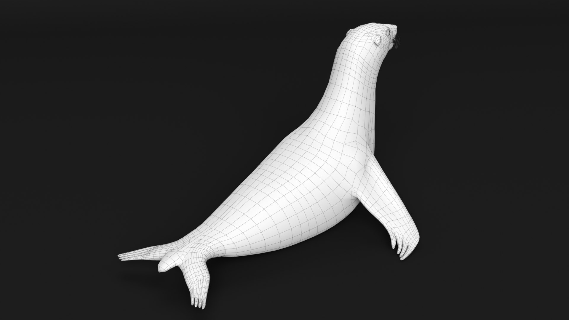 3D Sea Lion - TurboSquid 2131418