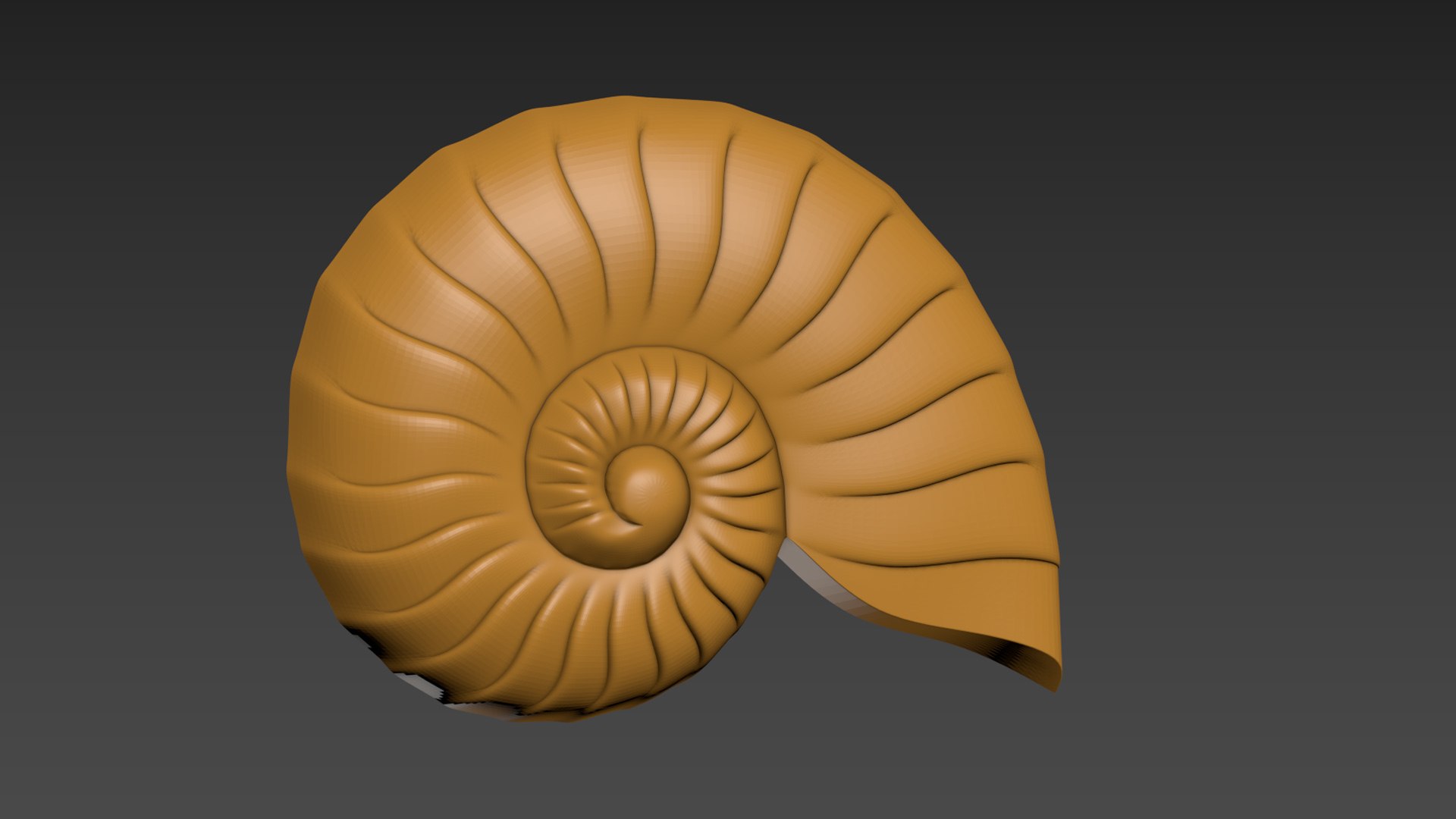 3D Seashell Shell Clam Shell Model - TurboSquid 2228150