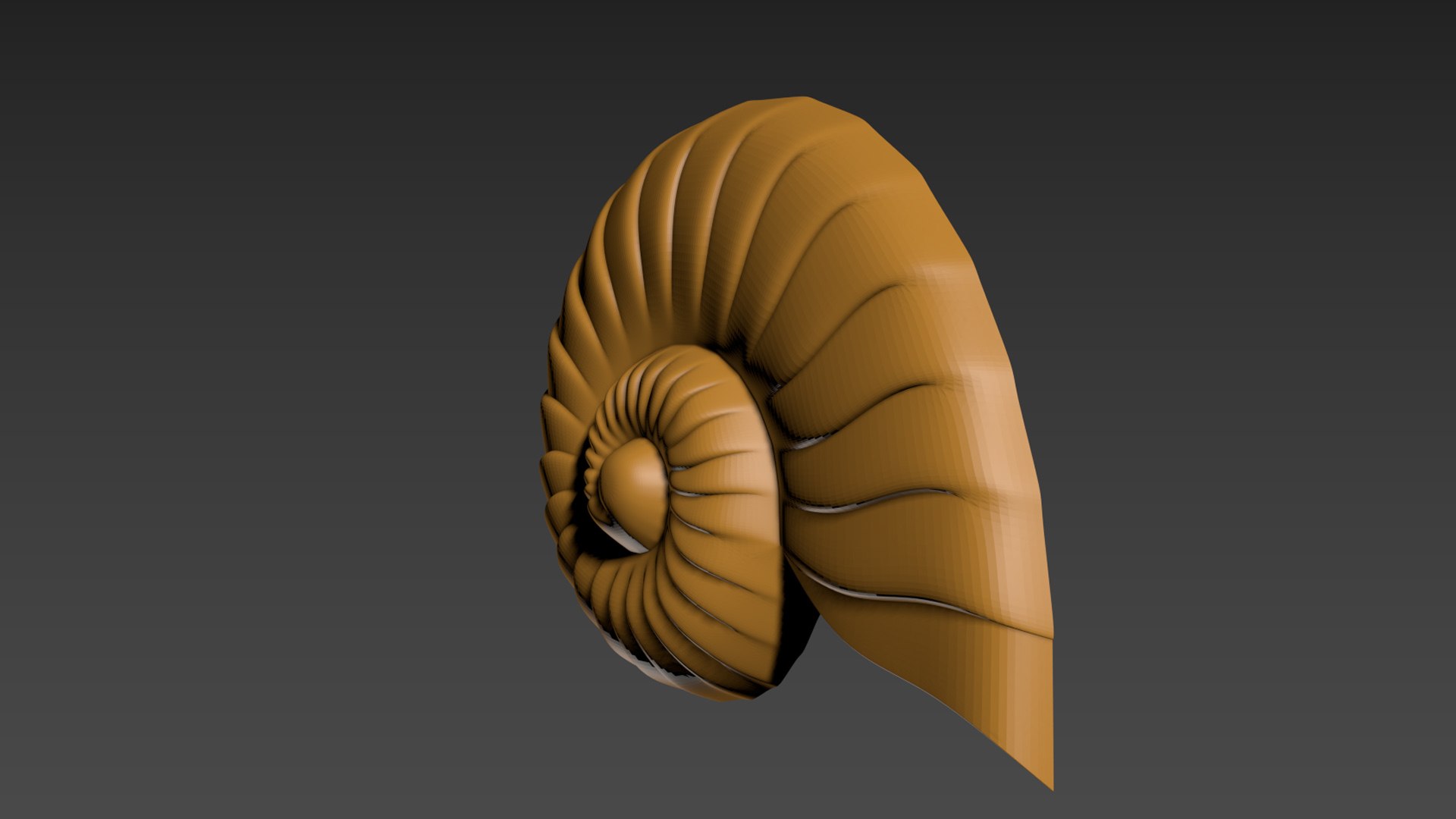 3D Seashell Shell Clam Shell Model - TurboSquid 2228150