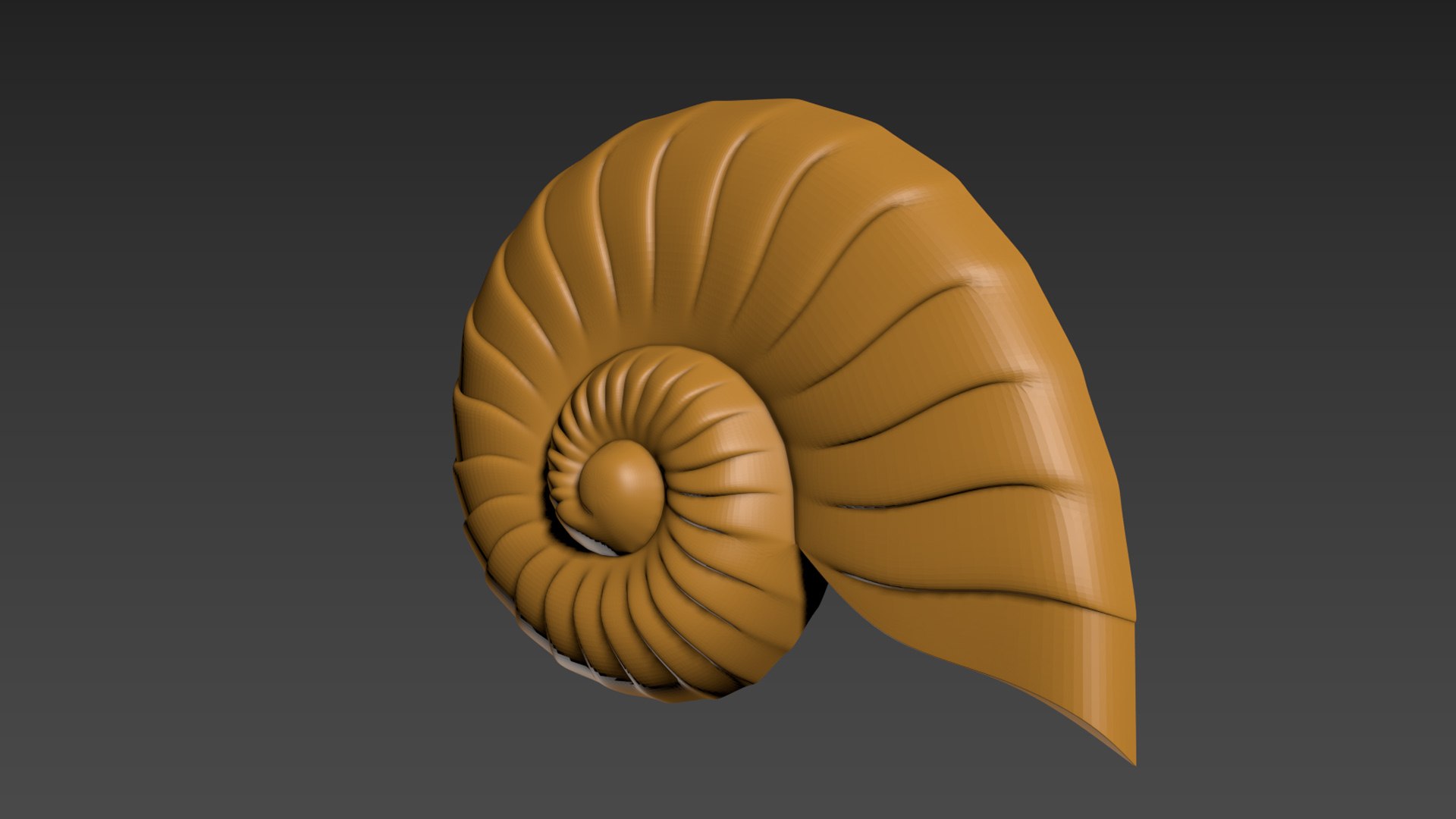 3D Seashell Shell Clam Shell Model - TurboSquid 2228150