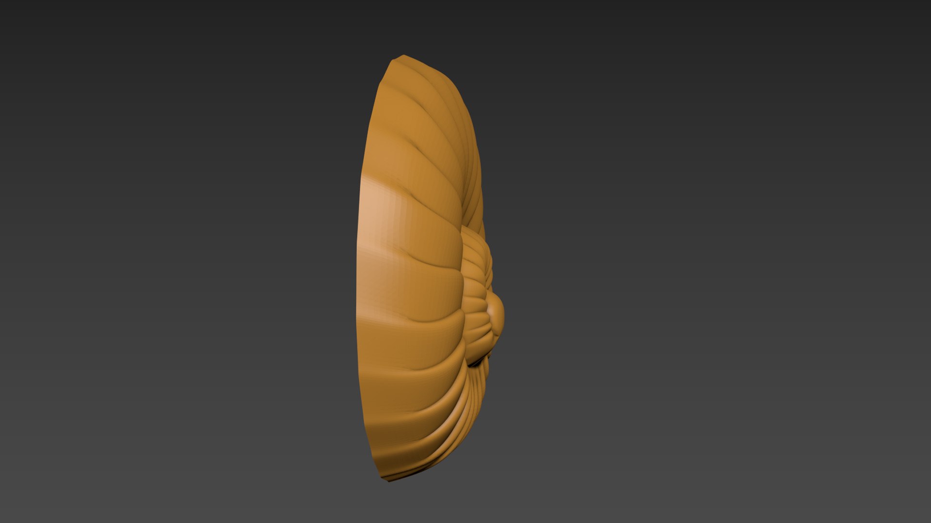 3D Seashell Shell Clam Shell Model - TurboSquid 2228150