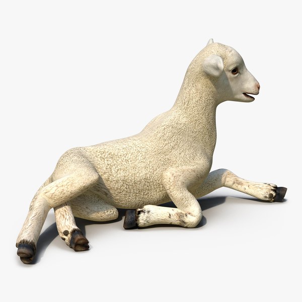 Lamb 3D Models for Download | TurboSquid