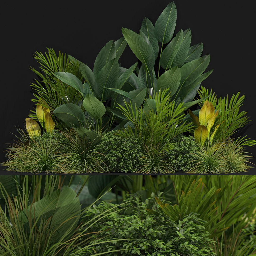 3D Plants Collection 604 - TurboSquid 1860506