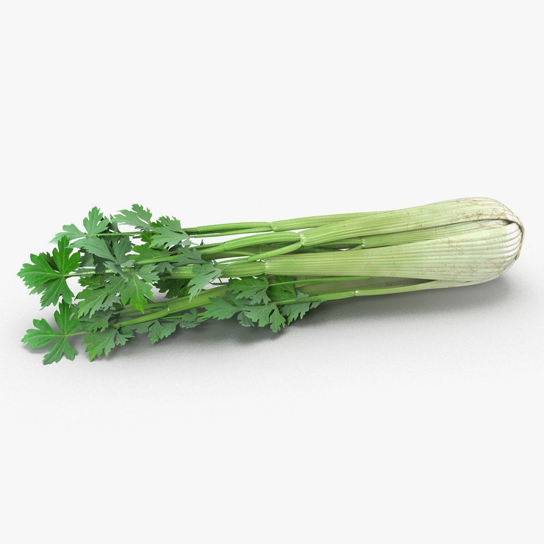 3d celery