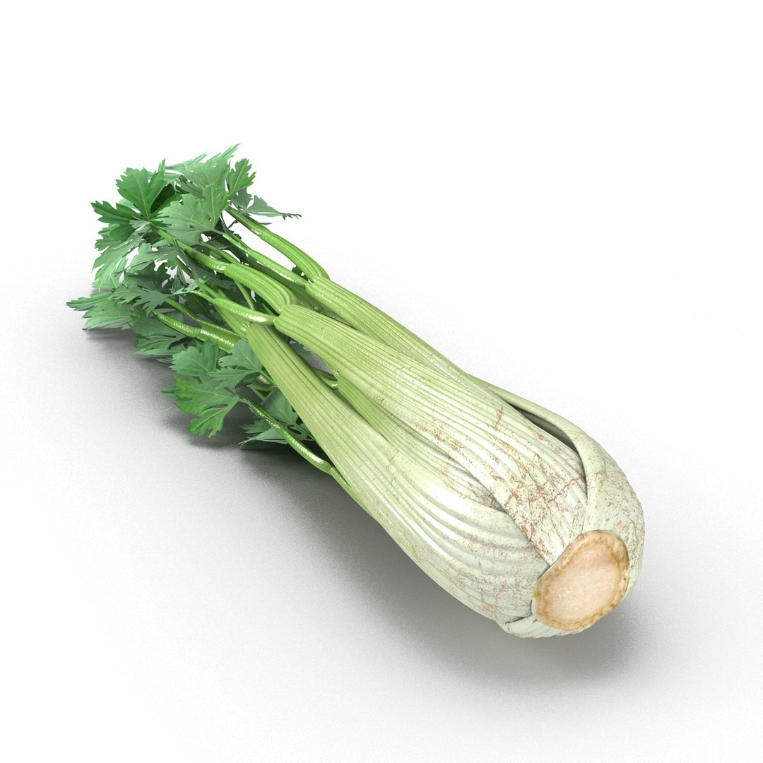 3d Celery