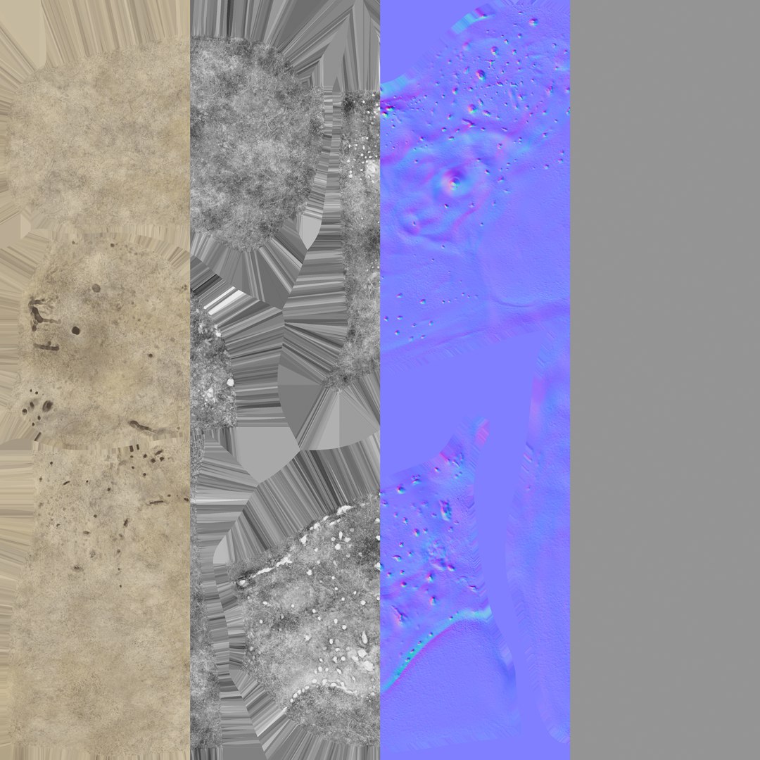 Cuneiform Bone Intermediate 3D Model - TurboSquid 1844980