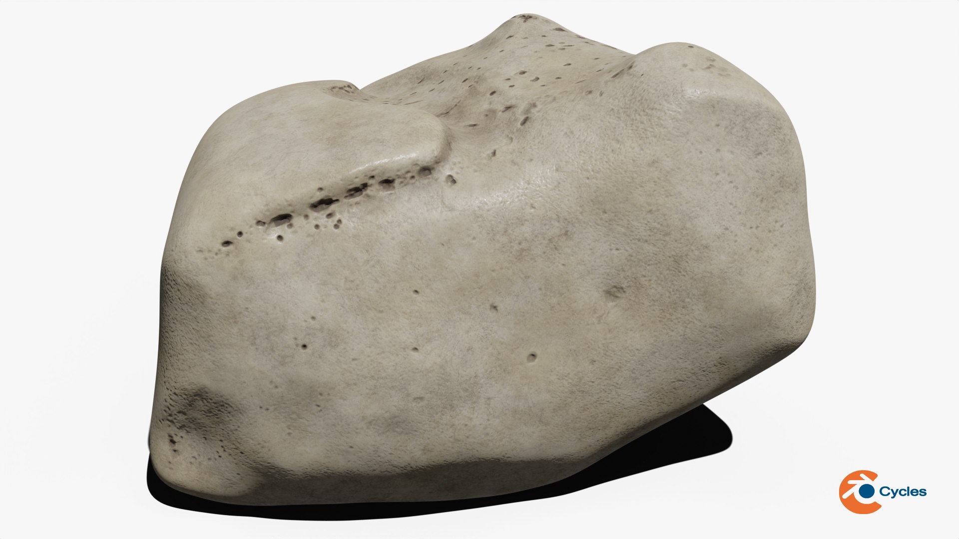 Cuneiform Bone Intermediate 3D Model - TurboSquid 1844980