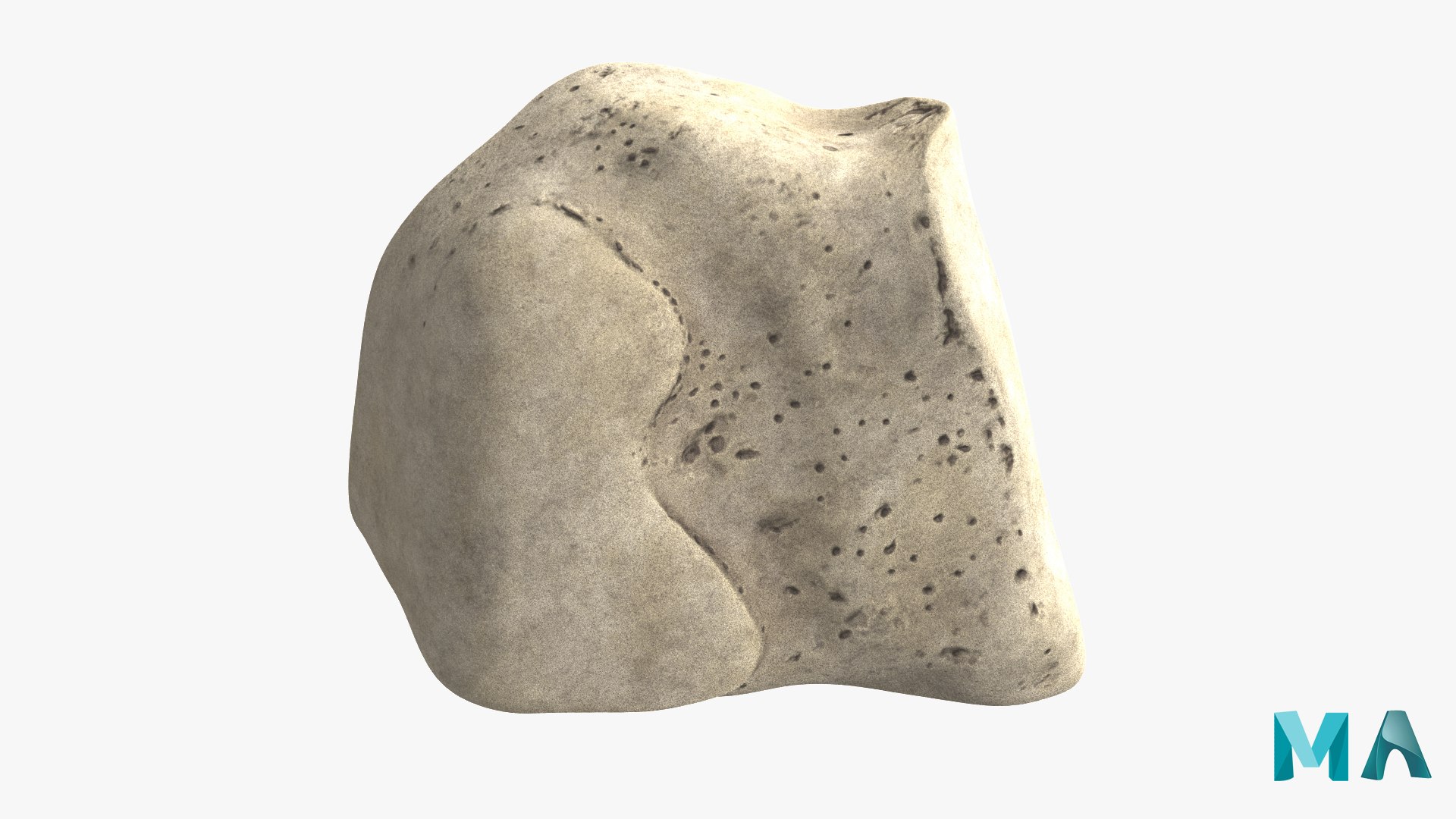 Cuneiform Bone Intermediate 3D Model - TurboSquid 1844980